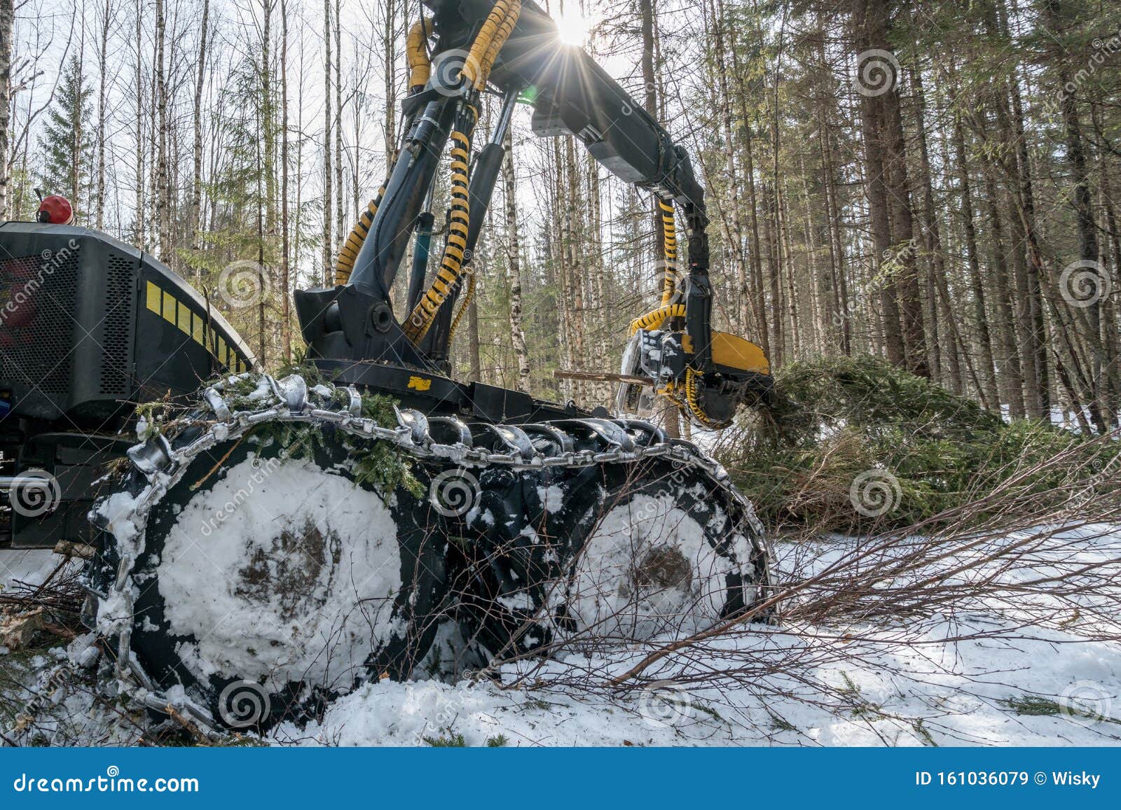 Forestry Work. Image of Modern Log Loader Working Stock Image - Image ...