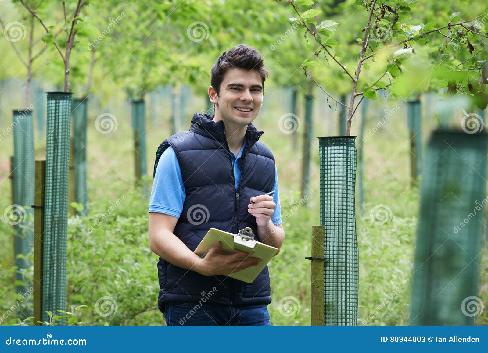 Forestry Worker with Clipboard Checking Young Trees Stock Image - Image ...
