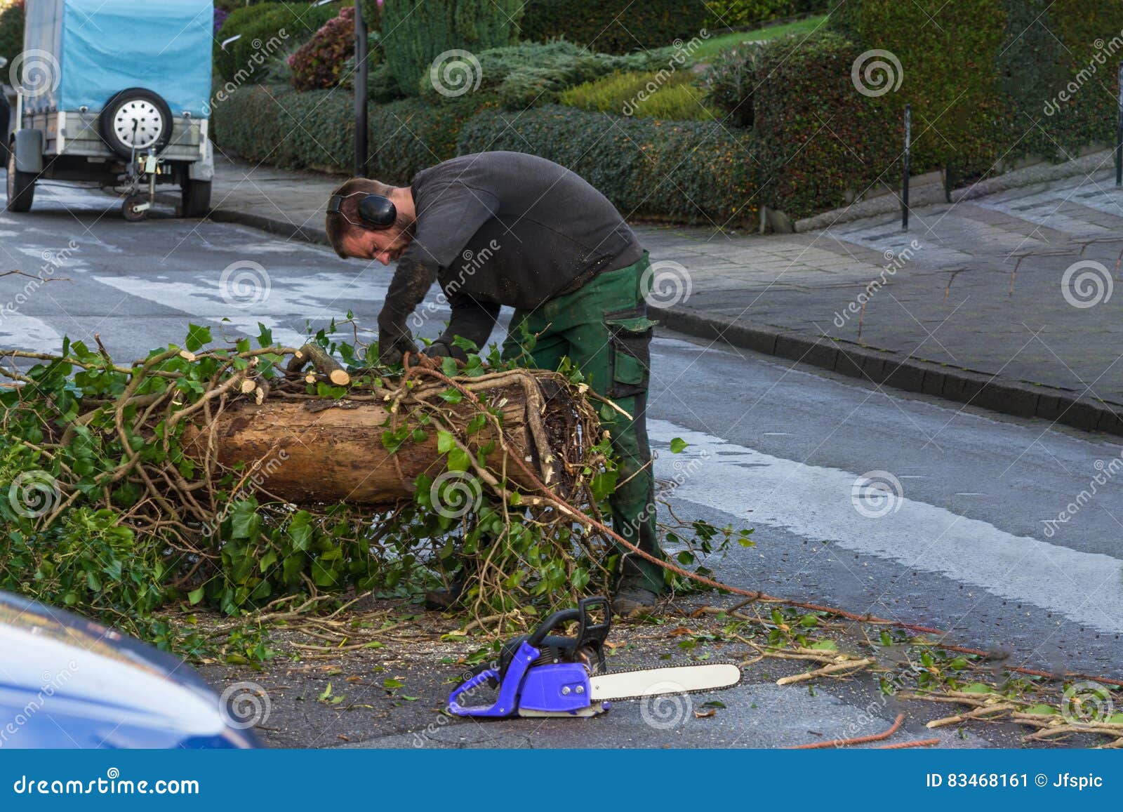 Forestry Worker Sawing a Tree Trunk with a Chainsaw Stock Image - Image ...