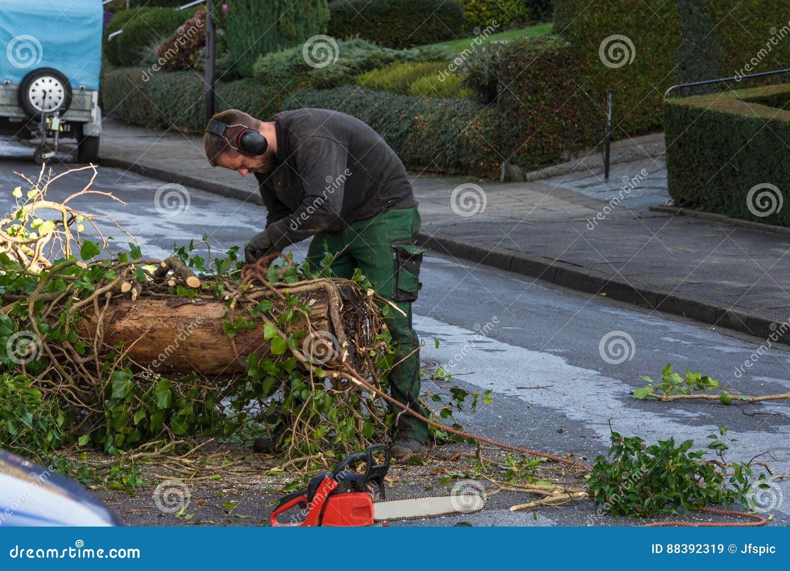 Forestry Worker Sawing a Tree Trunk with a Chainsaw Stock Image - Image ...