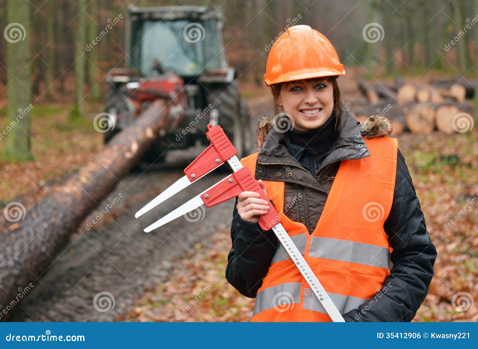 Forestry worker stock photo. Image of brunette, lumber - 35412906