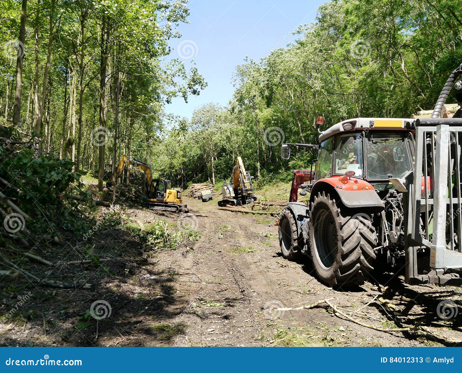 Forestry working stock image. Image of engineering, forest - 84012313