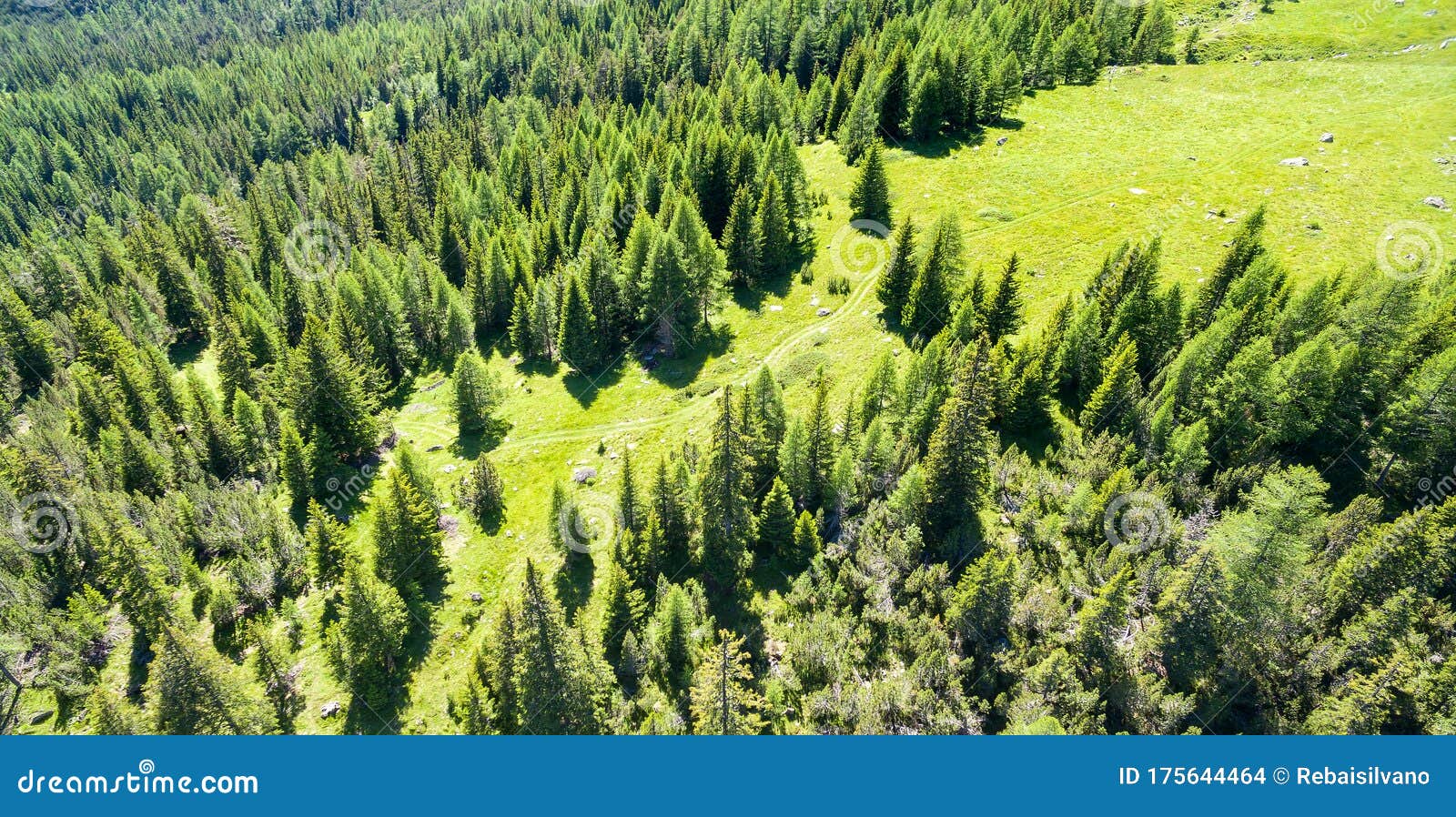 Forests from above stock photo. Image of alps, beautiful - 175644464