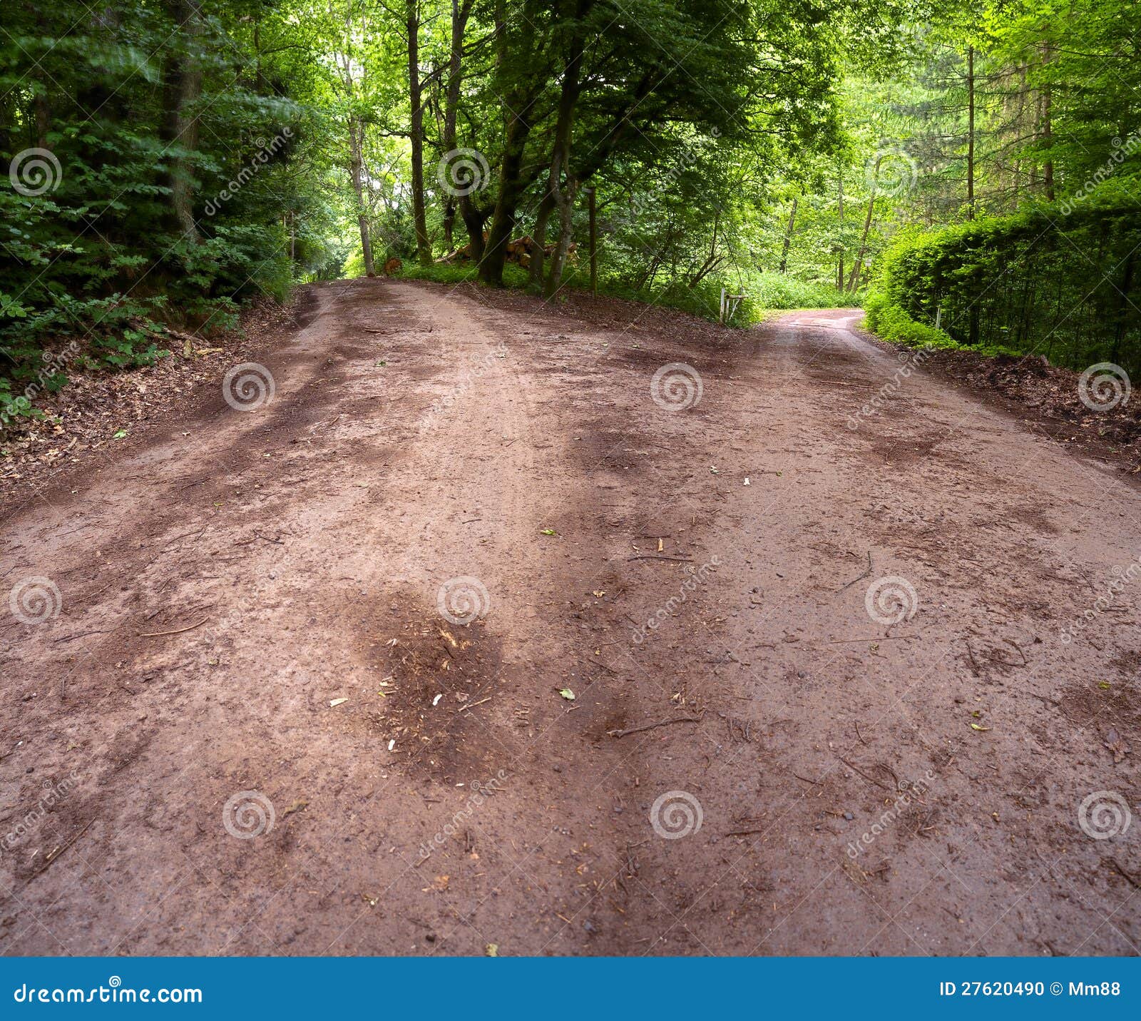 Forests asphalt roads stock photo. Image of forest, natural - 27620490