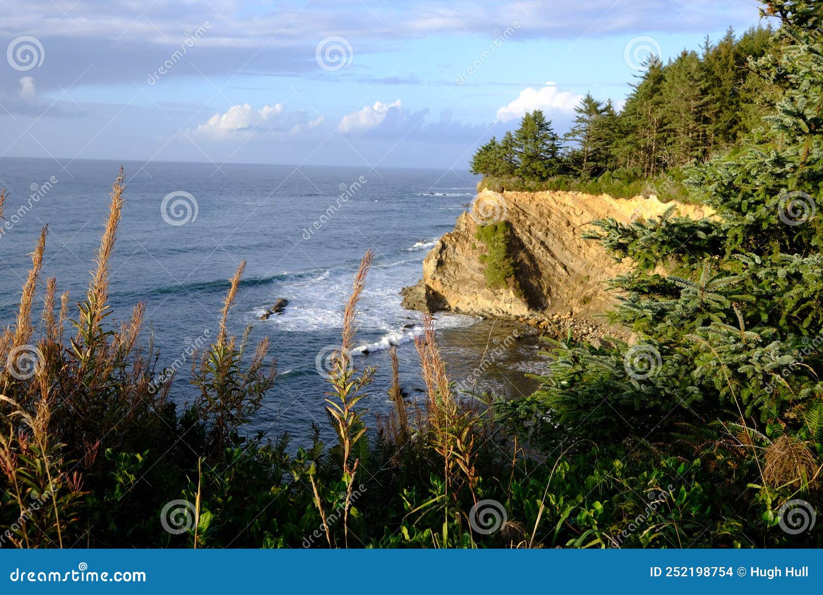 Forests and Cliffs Above the Pacific Ocean Stock Photo - Image of cape ...