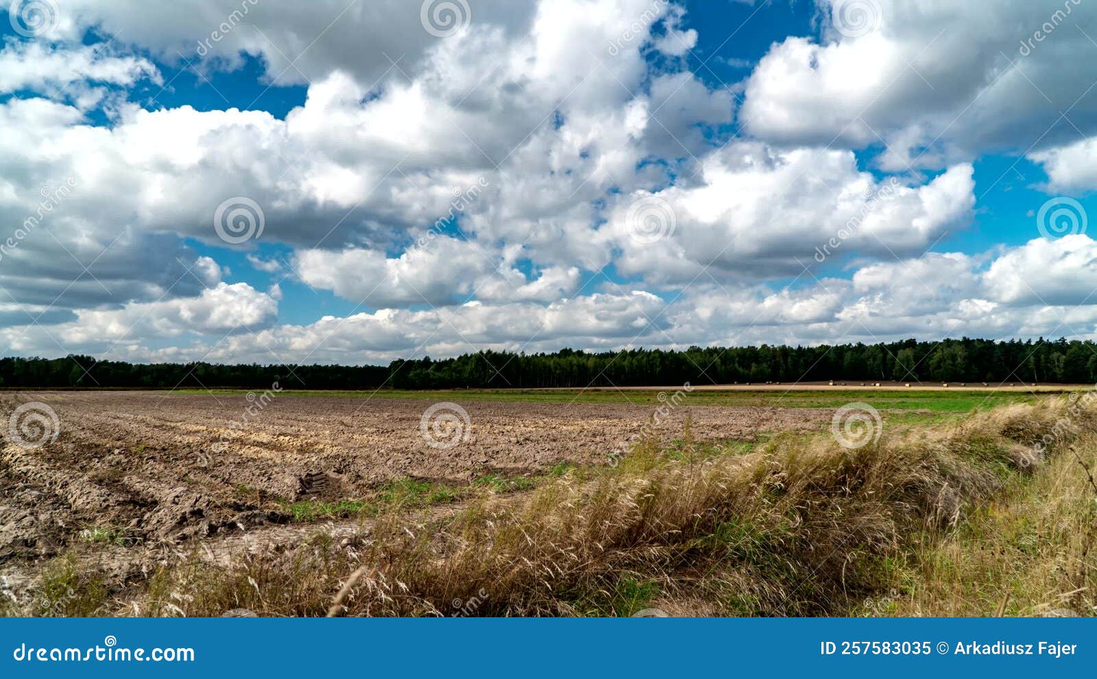 Forests, Fields and Meadows of Podlasie Stock Video - Video of time ...