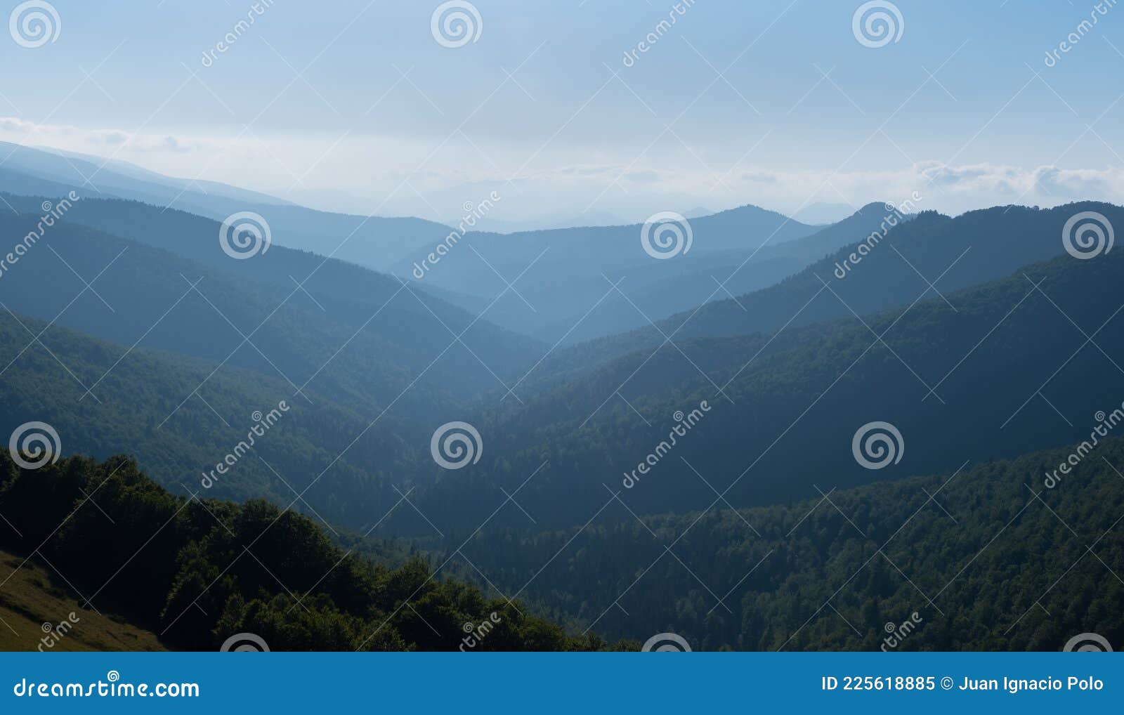 Forests of the Irati Forest from the Top of Larrau, Navarre Stock Image ...