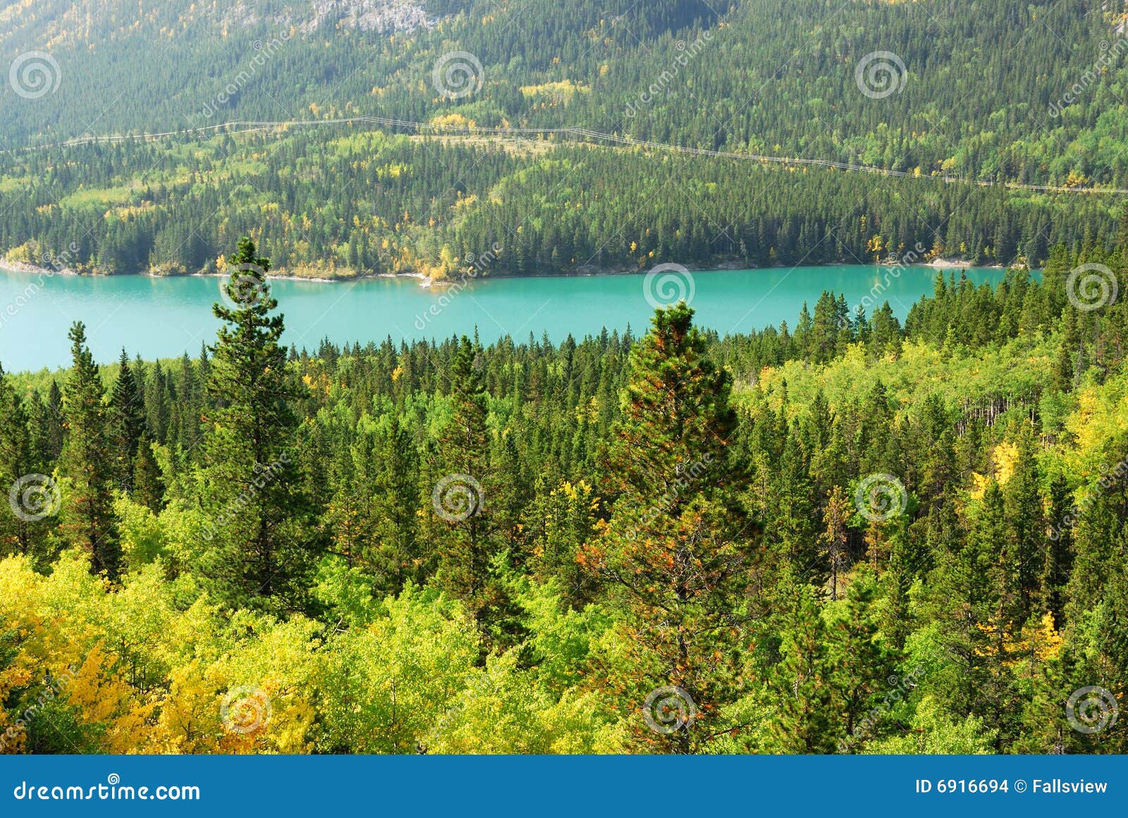 Forests at lakeside stock photo. Image of canada, mountains - 6916694
