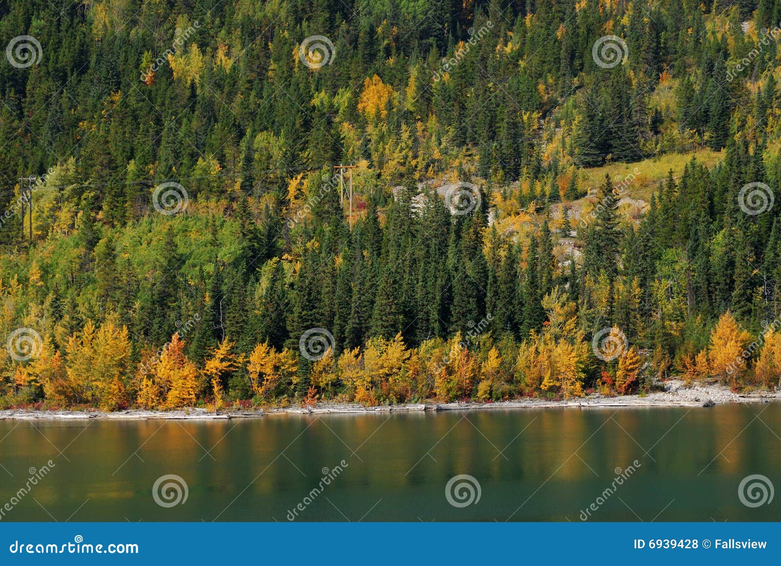 Forests at lakeside stock photo. Image of lakeside, aspin - 6939428