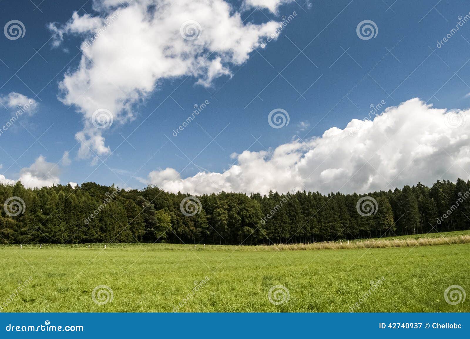 Forests and meadows stock image. Image of clouds, nature - 42740937