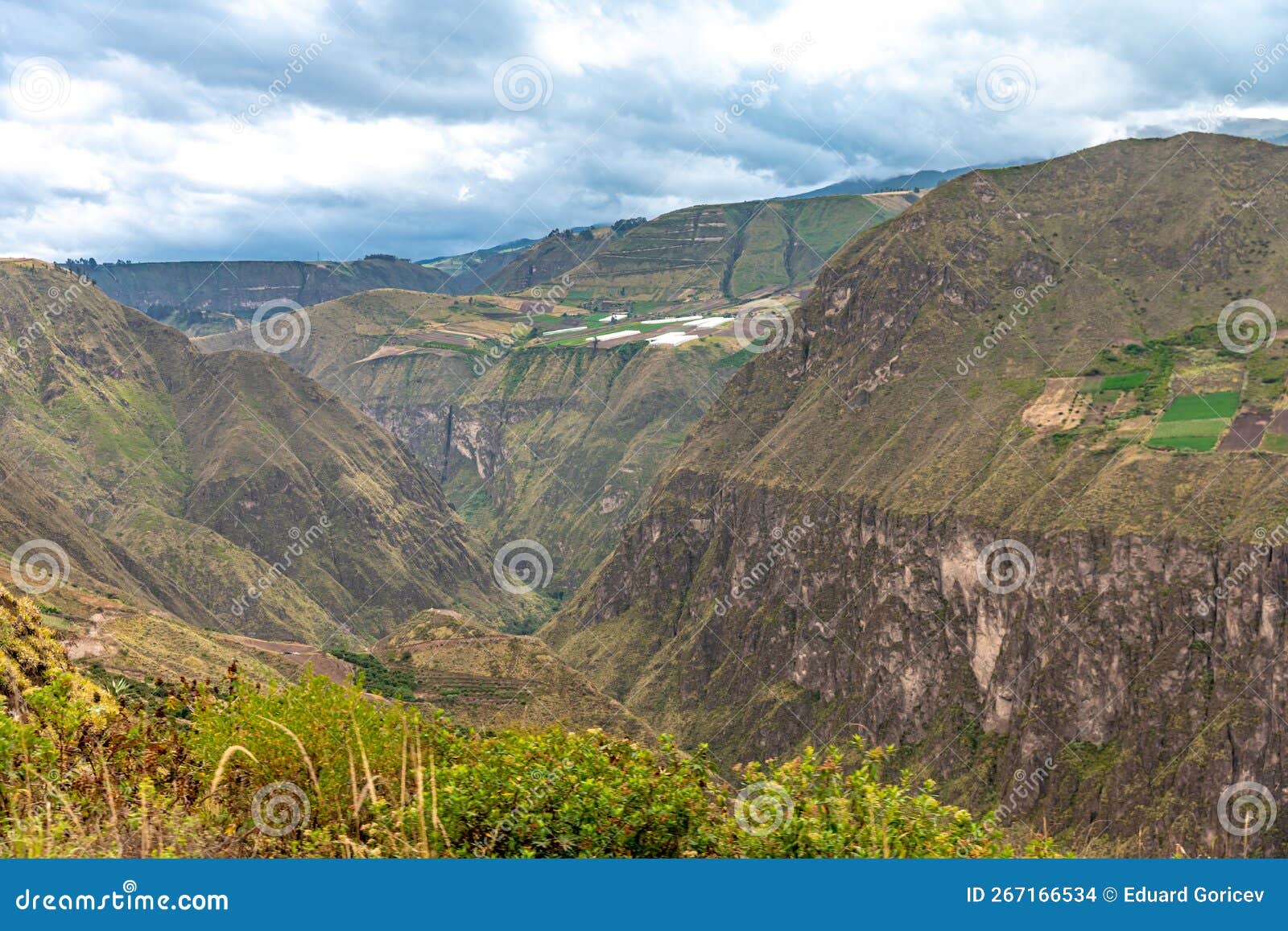 Forests and Mountains in the Beautiful Colombian Nature Stock Photo ...
