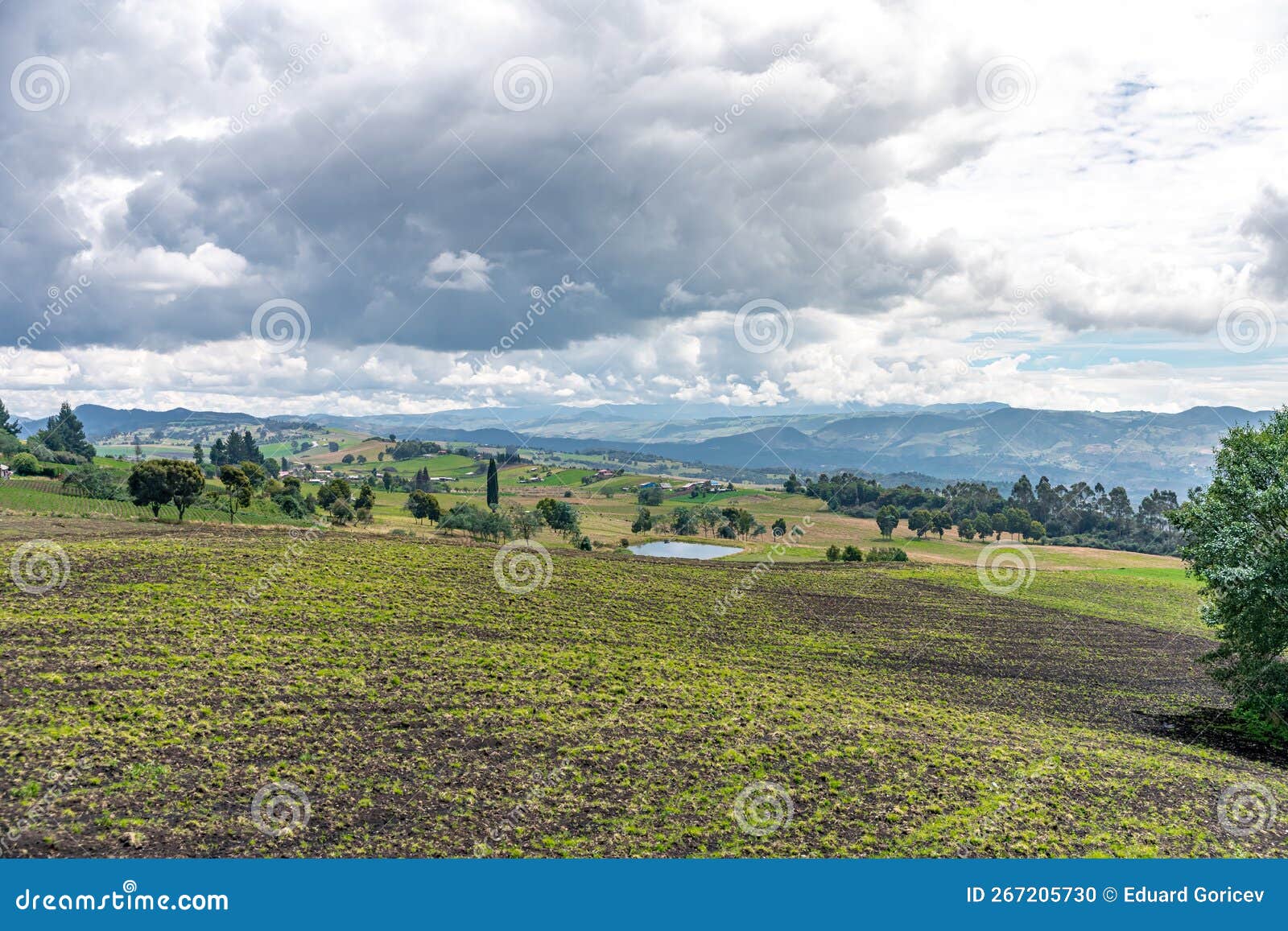 Forests and Mountains in the Beautiful Colombian Nature Stock Photo ...