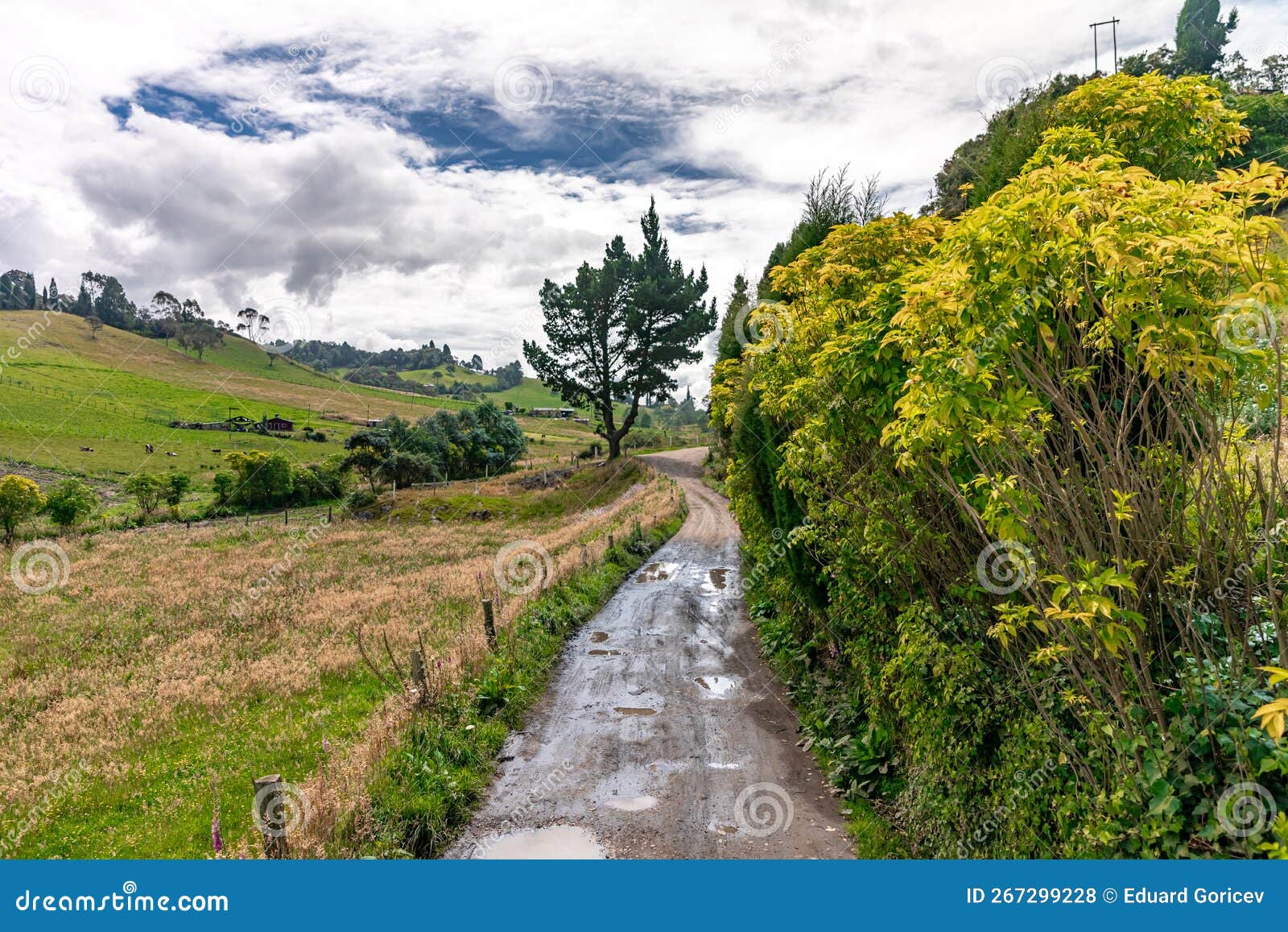 Forests and Mountains in the Beautiful Colombian Nature Stock Photo ...