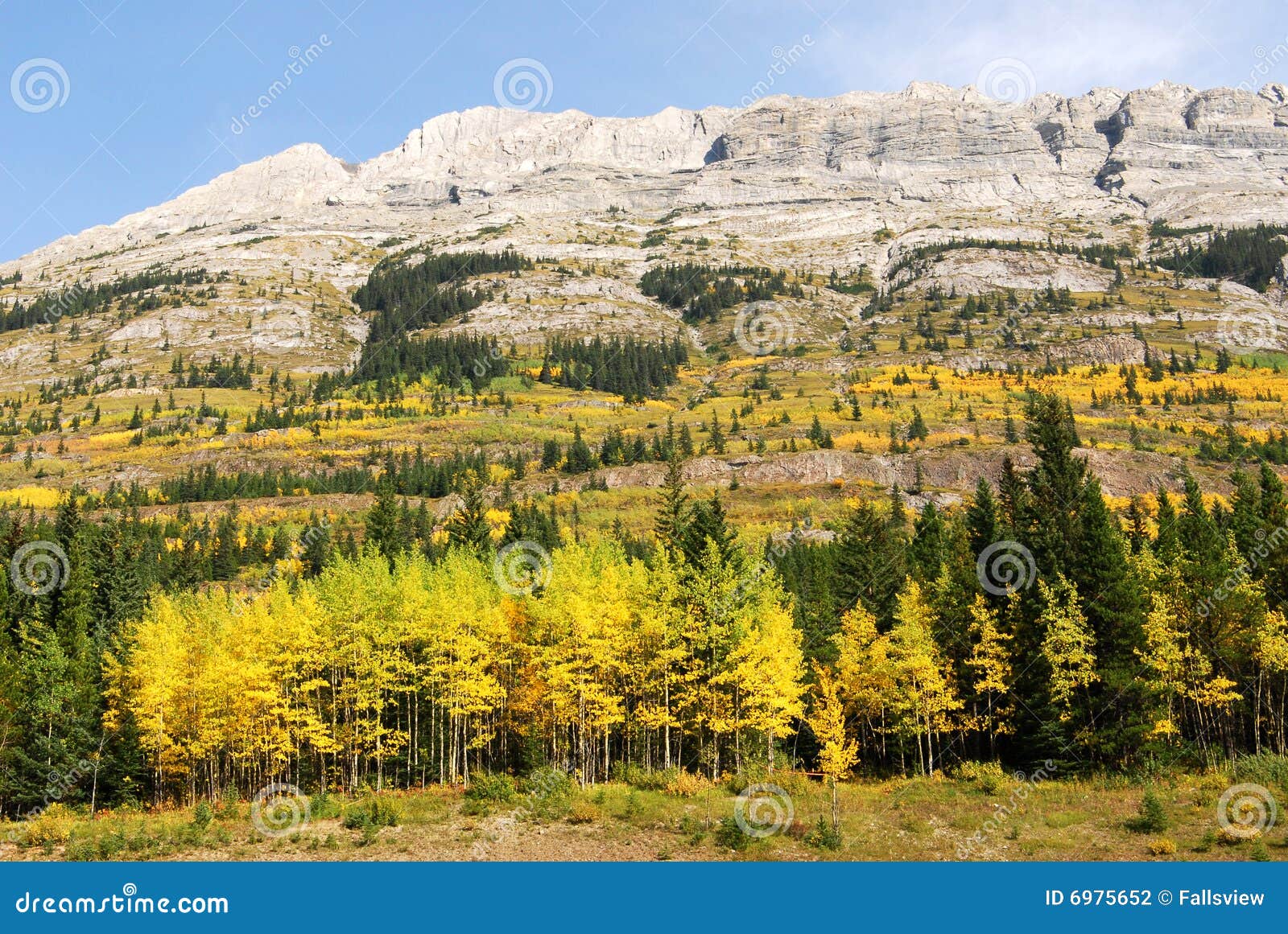 Forests on slope stock photo. Image of nature, fall, landscapes - 6975652