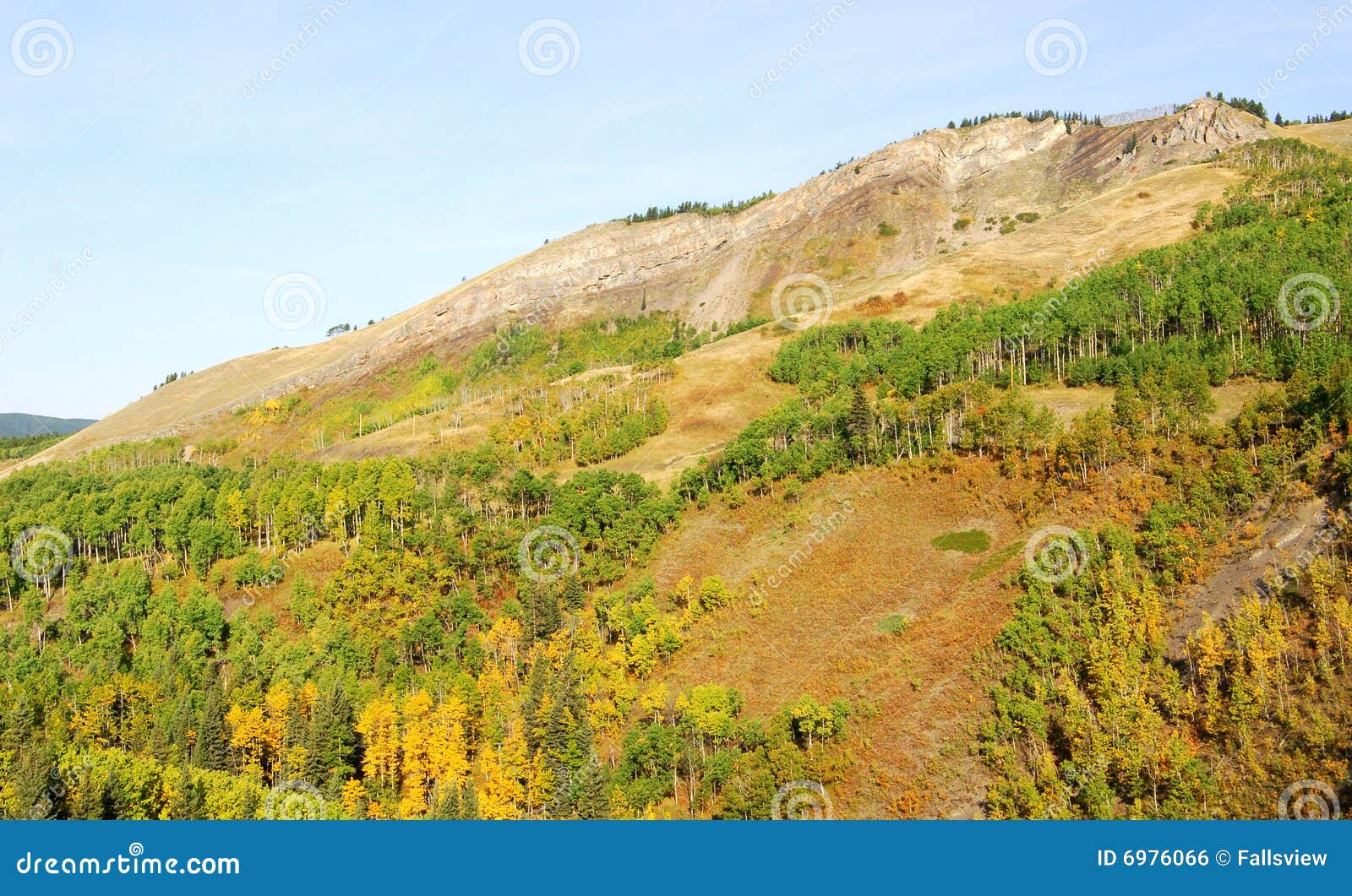 Forests on slope stock photo. Image of mountain, larch - 6976066