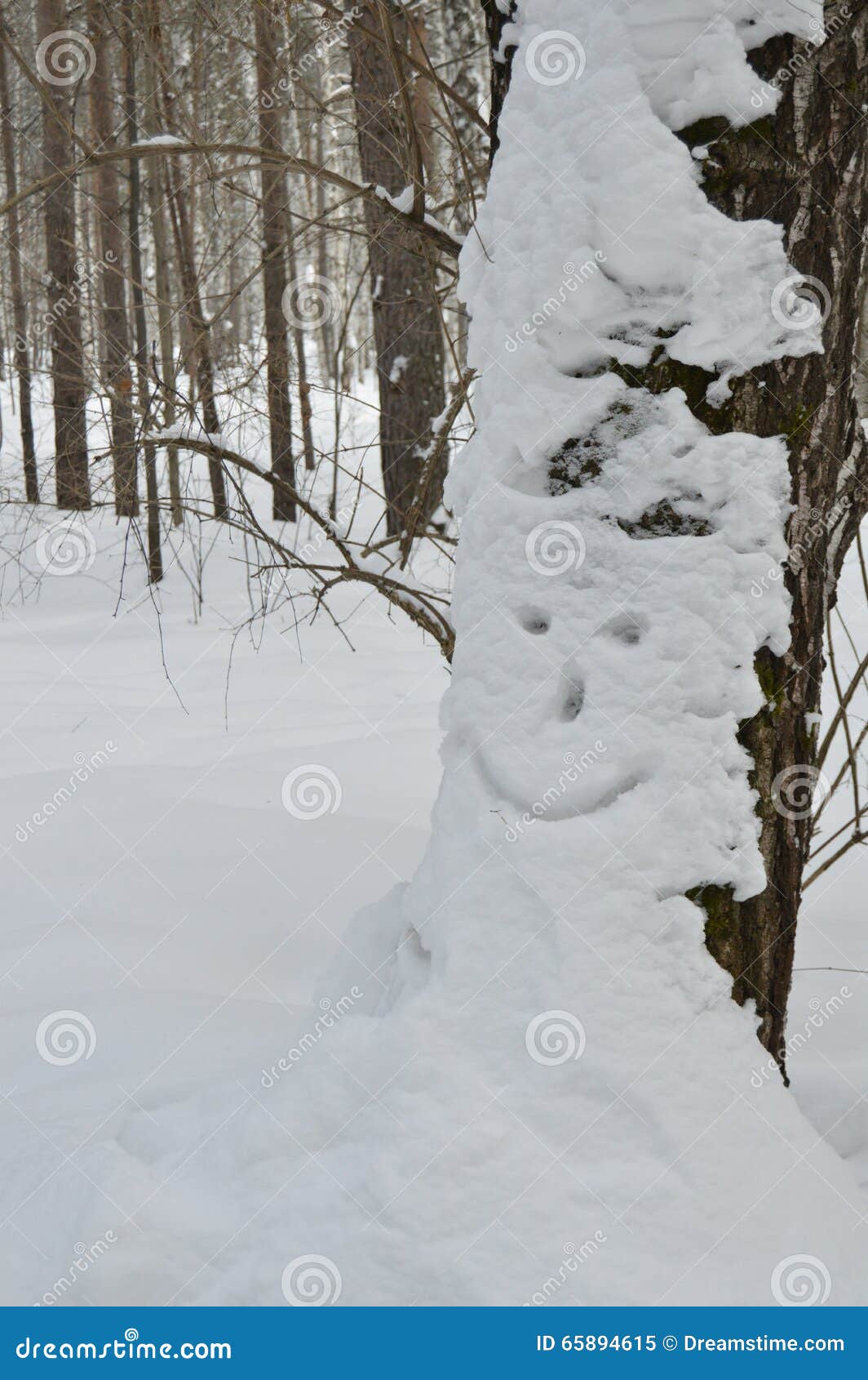 Forests smile stock image. Image of eyes, forest, winter - 65894615