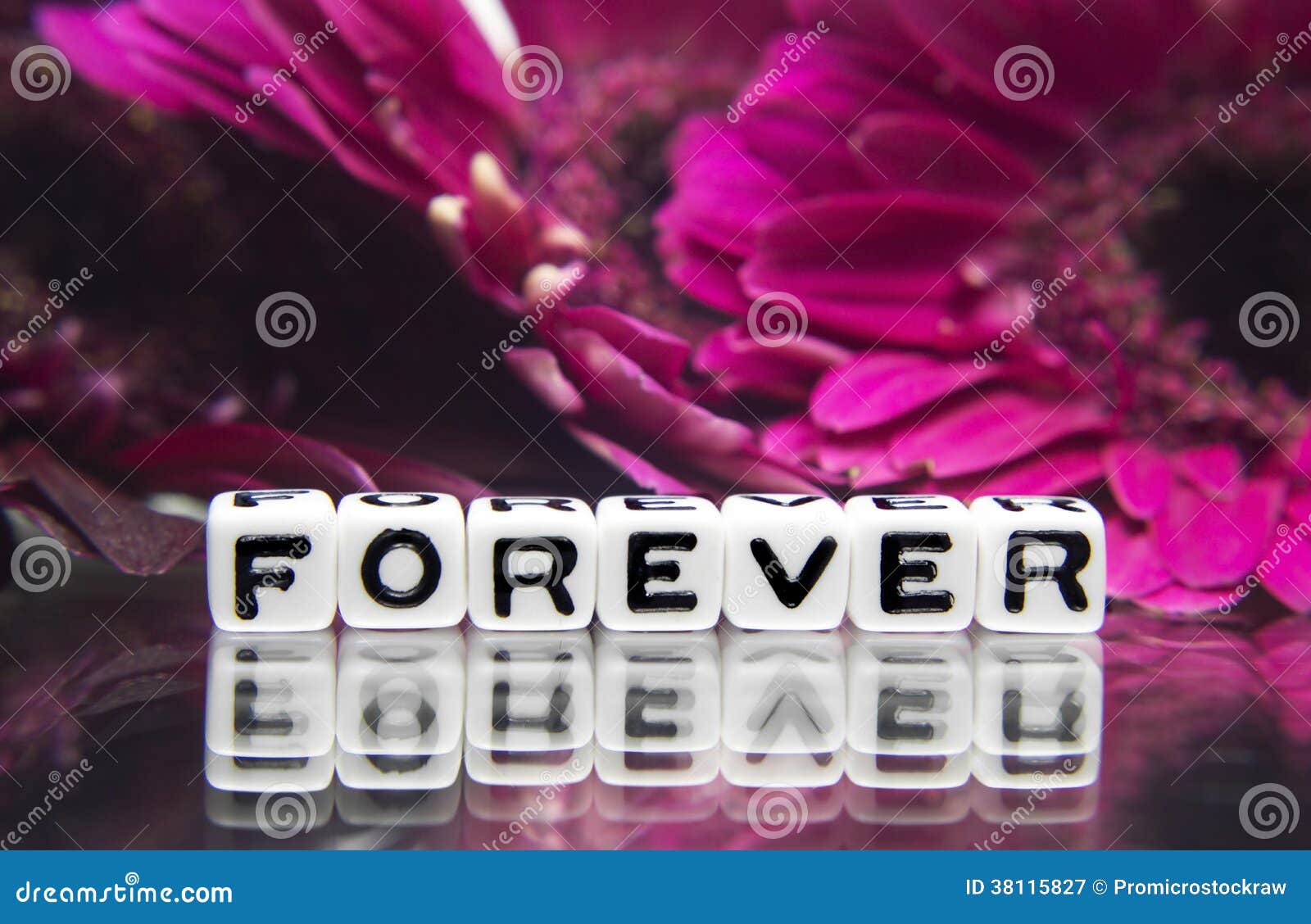Forever stock image. Image of durable, colorful, white - 38115827