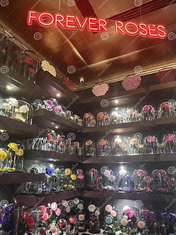 Forever Rose Store at BoxPark Development in Dubai, UAE Editorial Photo ...