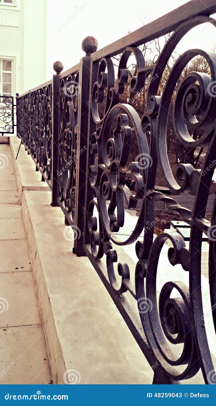Forged fence. stock image. Image of fence, nice, view - 48259043