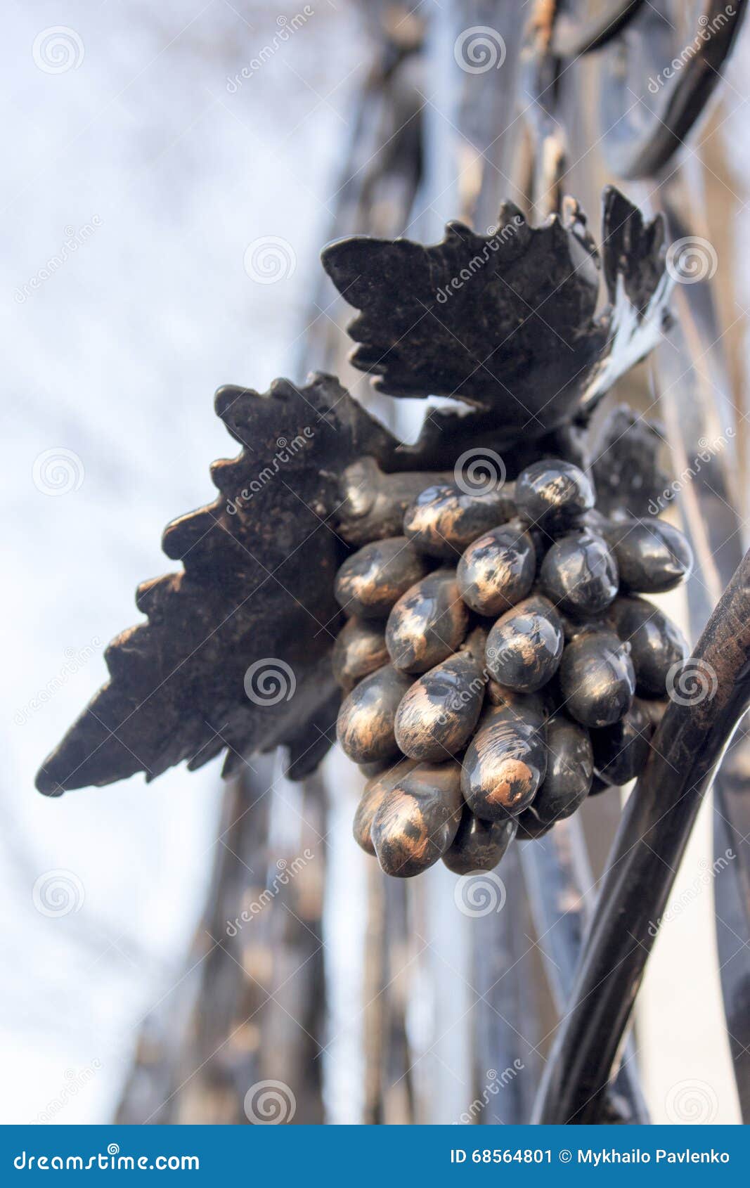 Forged leaves vine shoots stock image. Image of design - 68564801