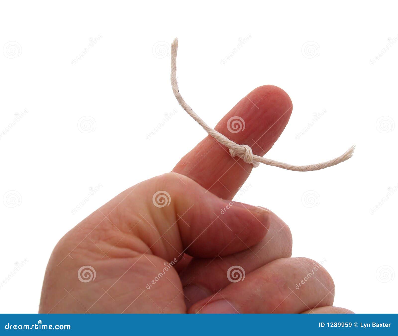 Forget me Knot stock image. Image of knot, forget, peolpe - 1289959