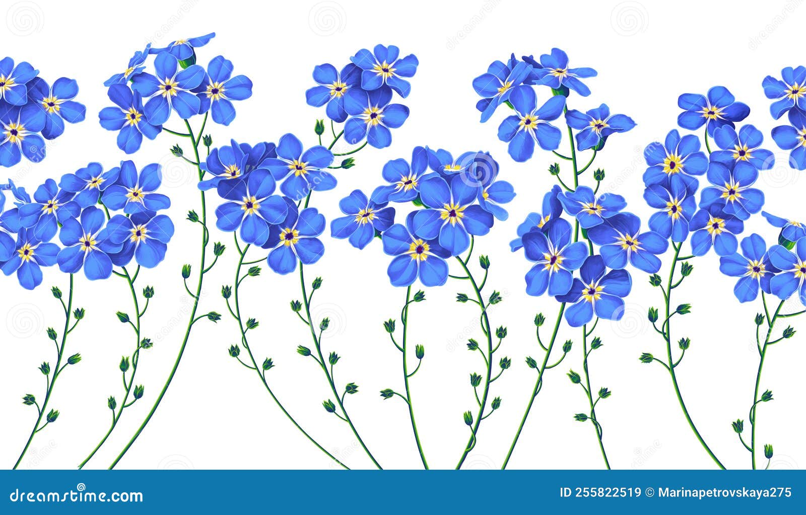 Botanical Background with Blue Forget-me-not Flowers. Stock Vector ...