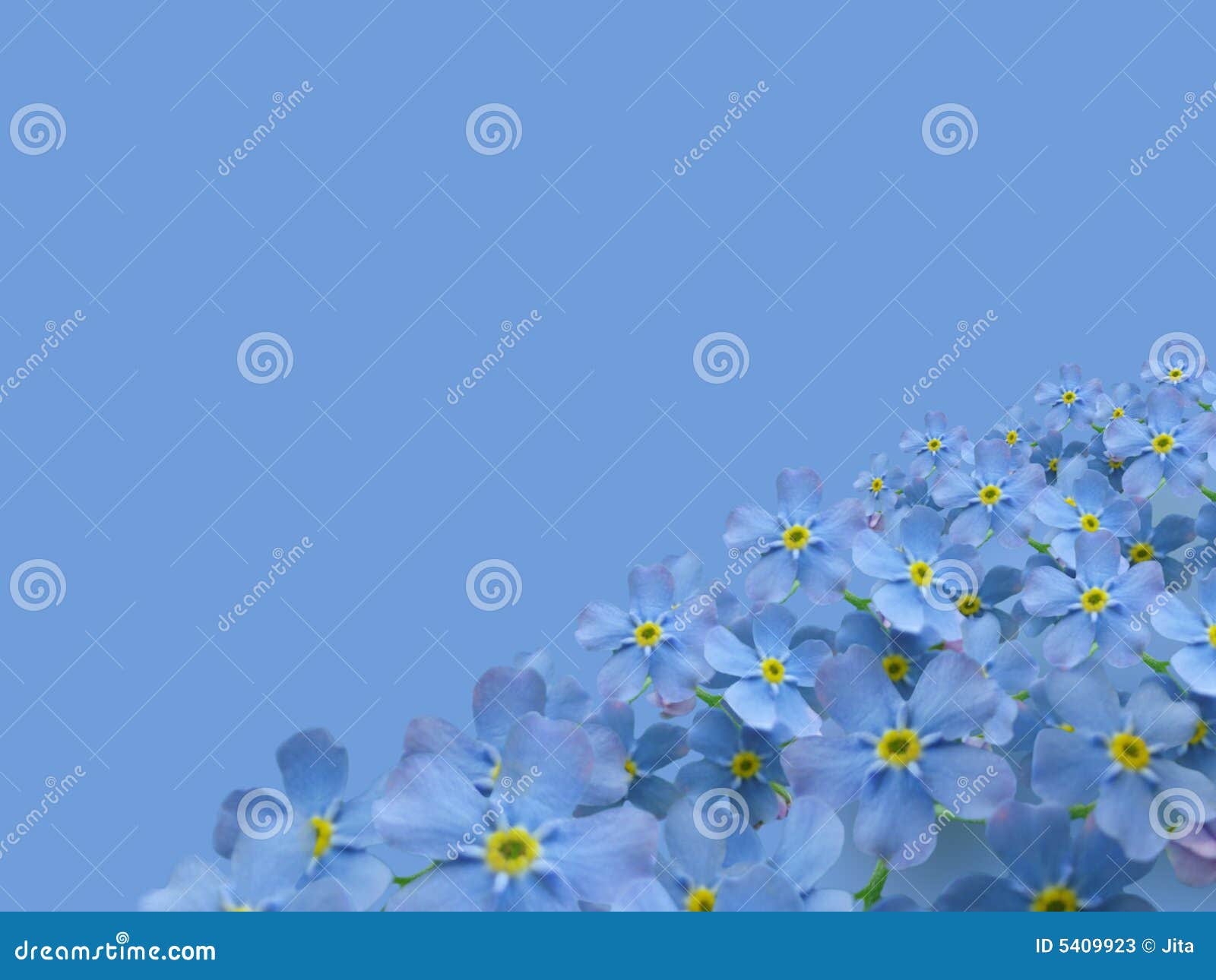 Forget Me Not Background Royalty-Free Stock Photography | CartoonDealer ...