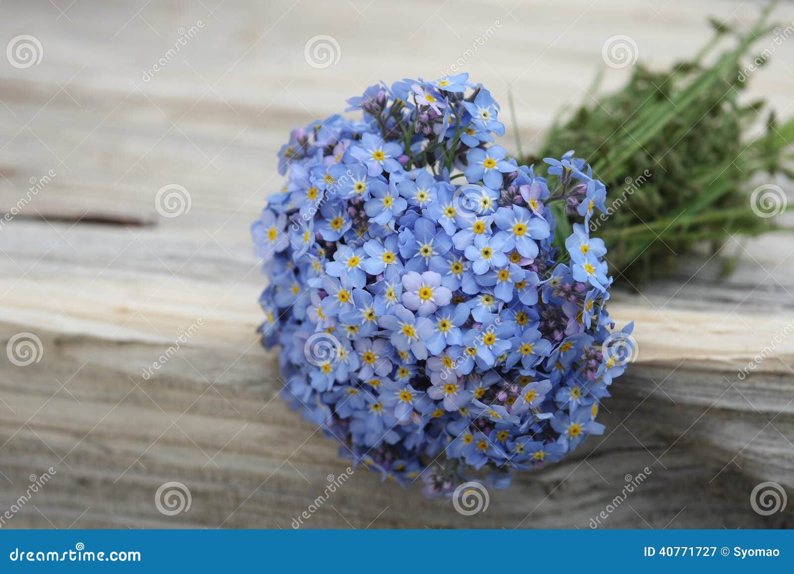 3,451 Forget Me Not Bouquet Stock Photos - Free & Royalty-Free Stock ...