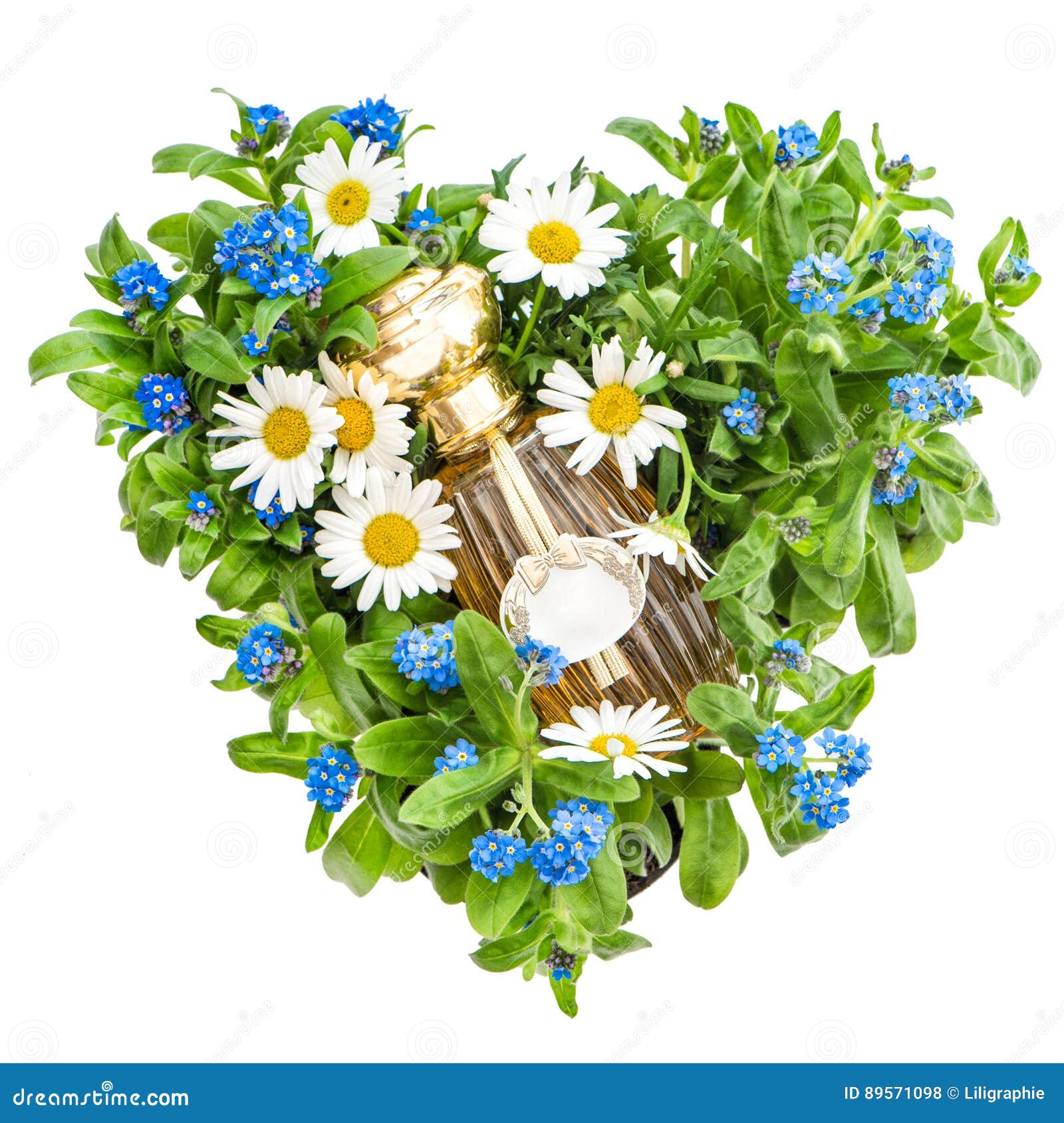 Forget Me Not Daisy Flowers Heart Perfume Stock Photo - Image of ...