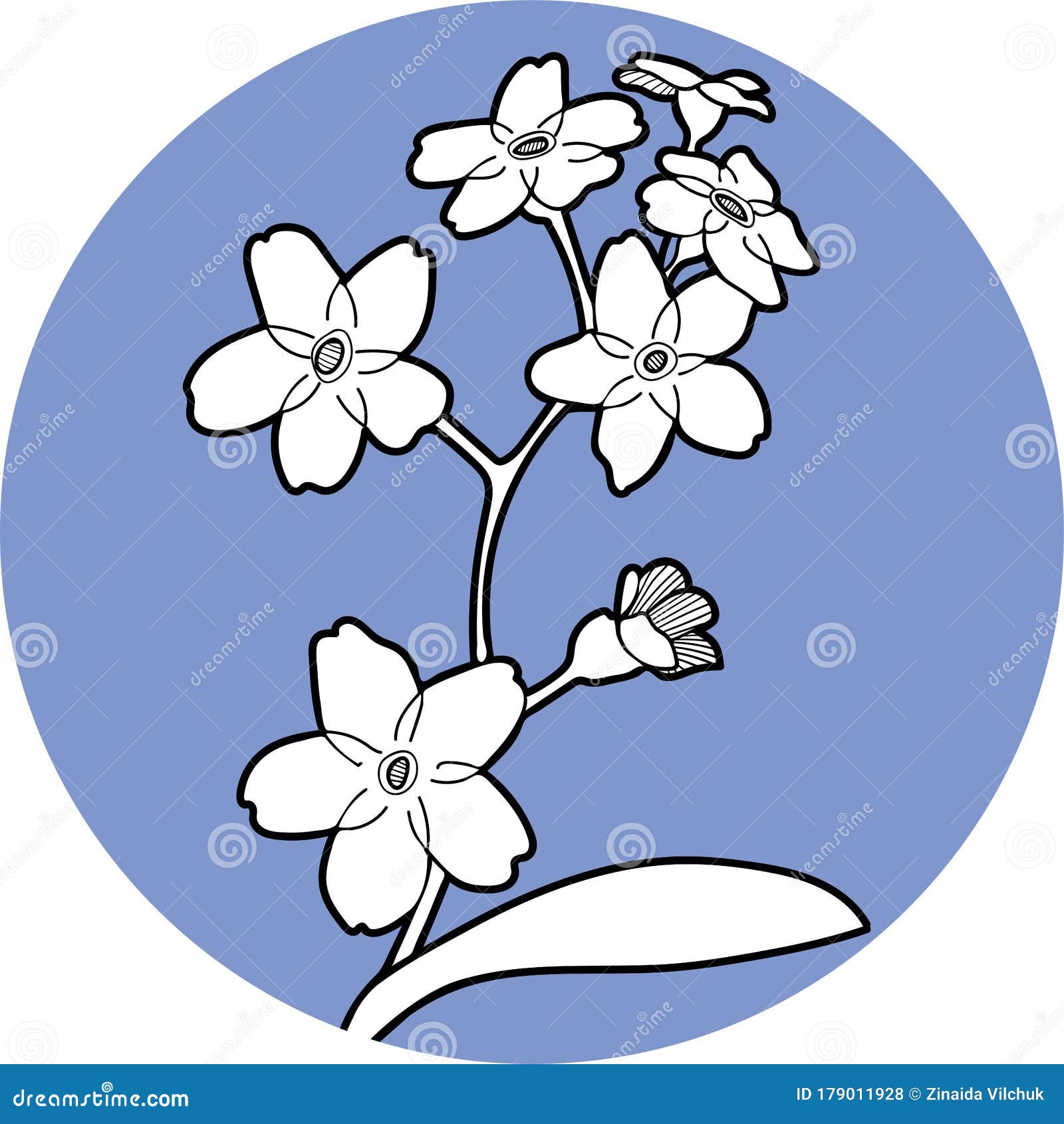 Forget Me Not Flawers in Circle Hand Draw Stock Vector - Illustration ...