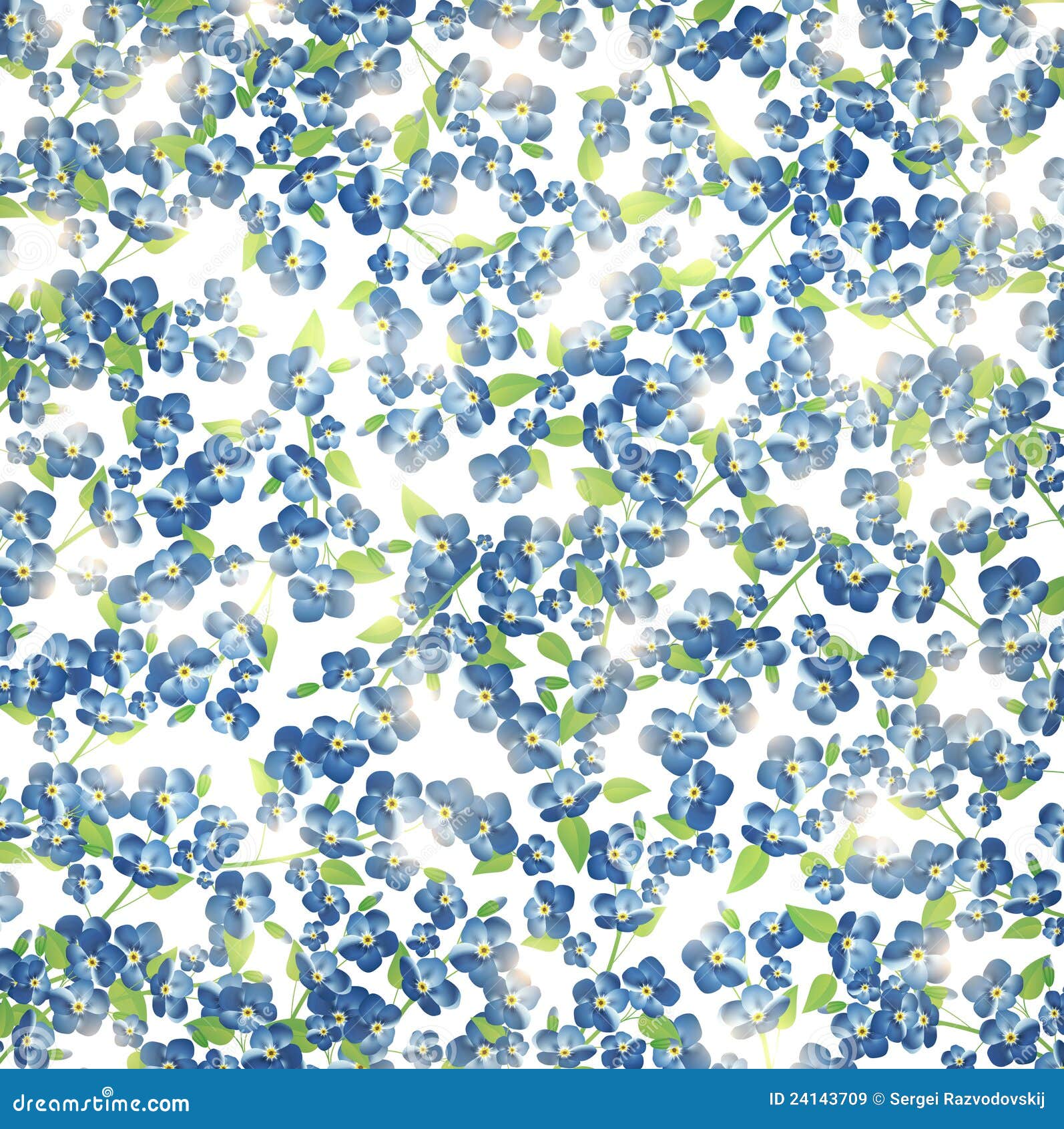 Forget Me Not Flower Isolated On White Background. Blue And Pink Bloom ...