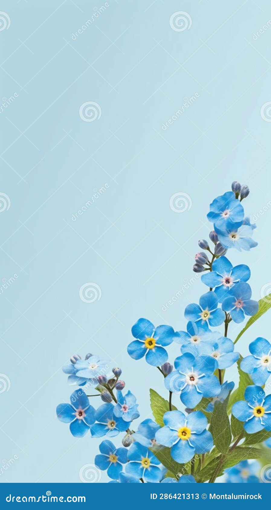 Forget Me Not Beauty Flower and Leaf Story Wallpaper Background Stock ...