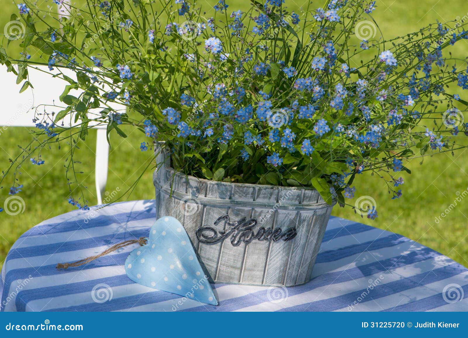 Forget-me-not stock photo. Image of flowers, floral, fresh - 31225720