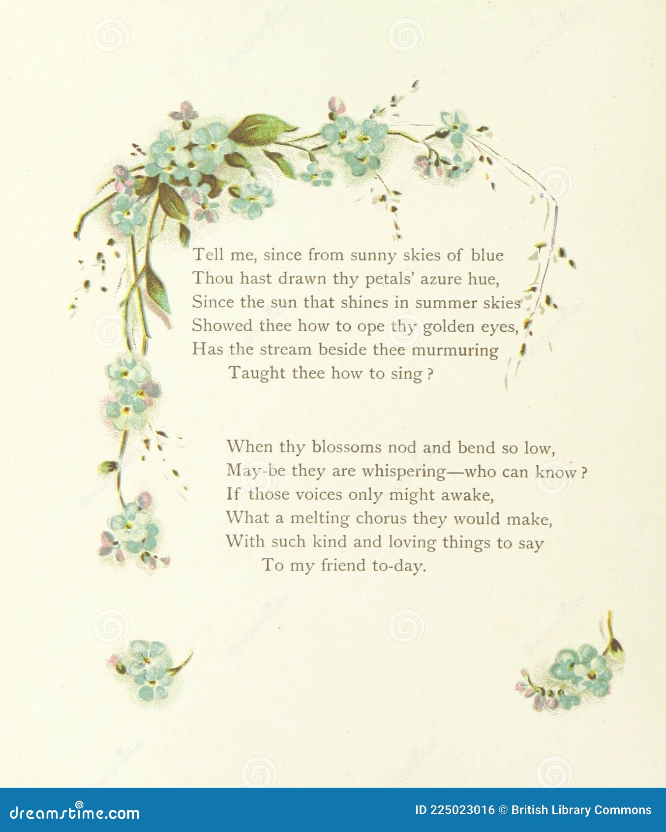 British Library Digitised Image From Page 12 Of "Forget-Me-Nots [In ...