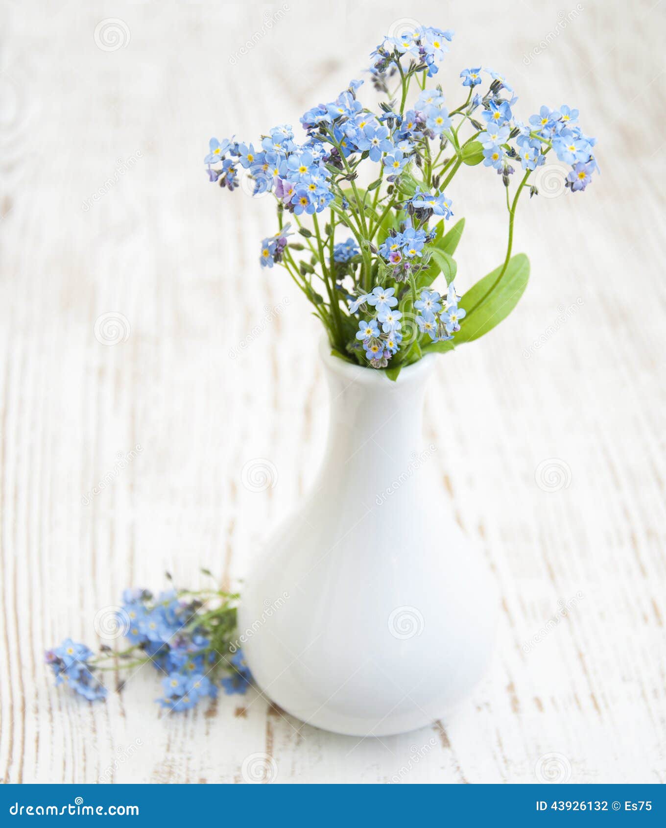 Forget-me-nots on Wooden Table Stock Photo - Image of beauty ...