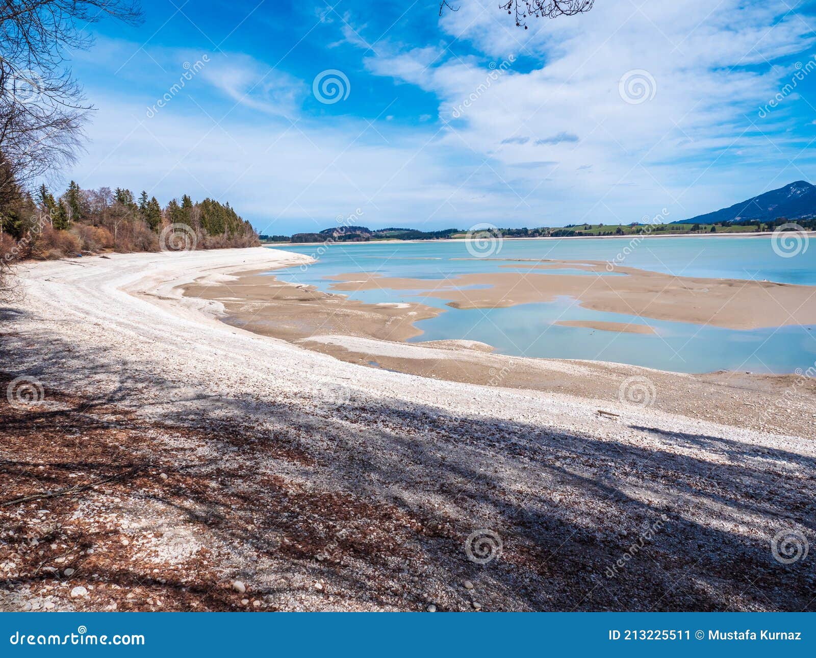 Forggensee in winter stock image. Image of lech, meadow - 213225511