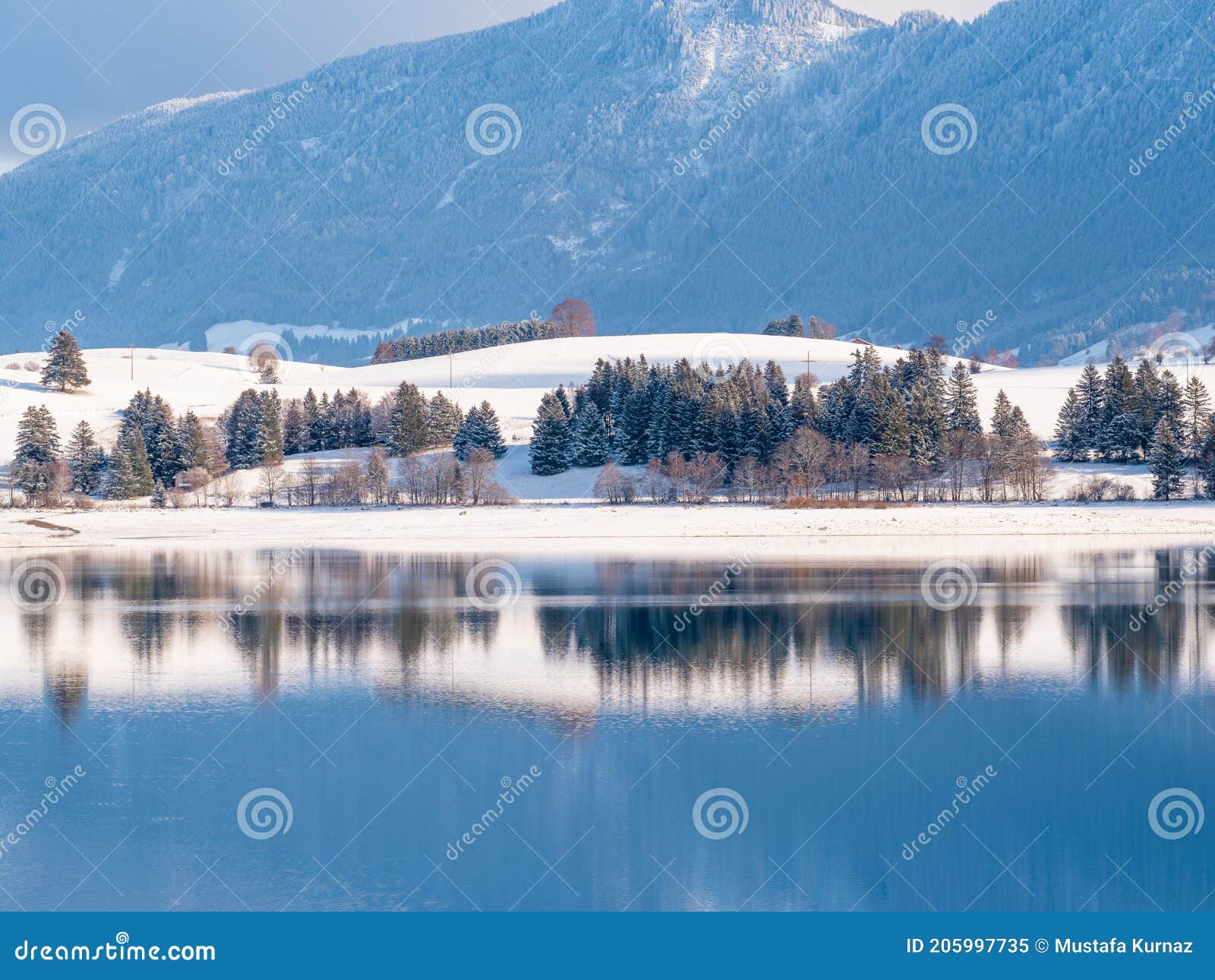 Forggensee in winter stock image. Image of reservoir - 205997735