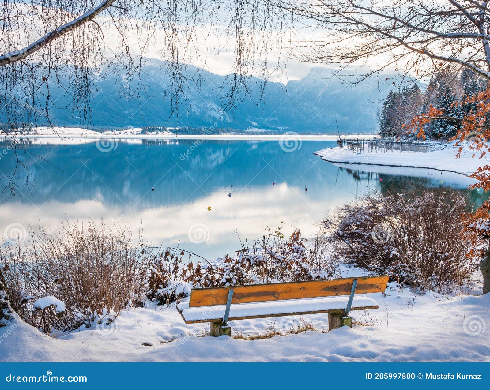 Forggensee in winter stock photo. Image of forggensee - 205997800