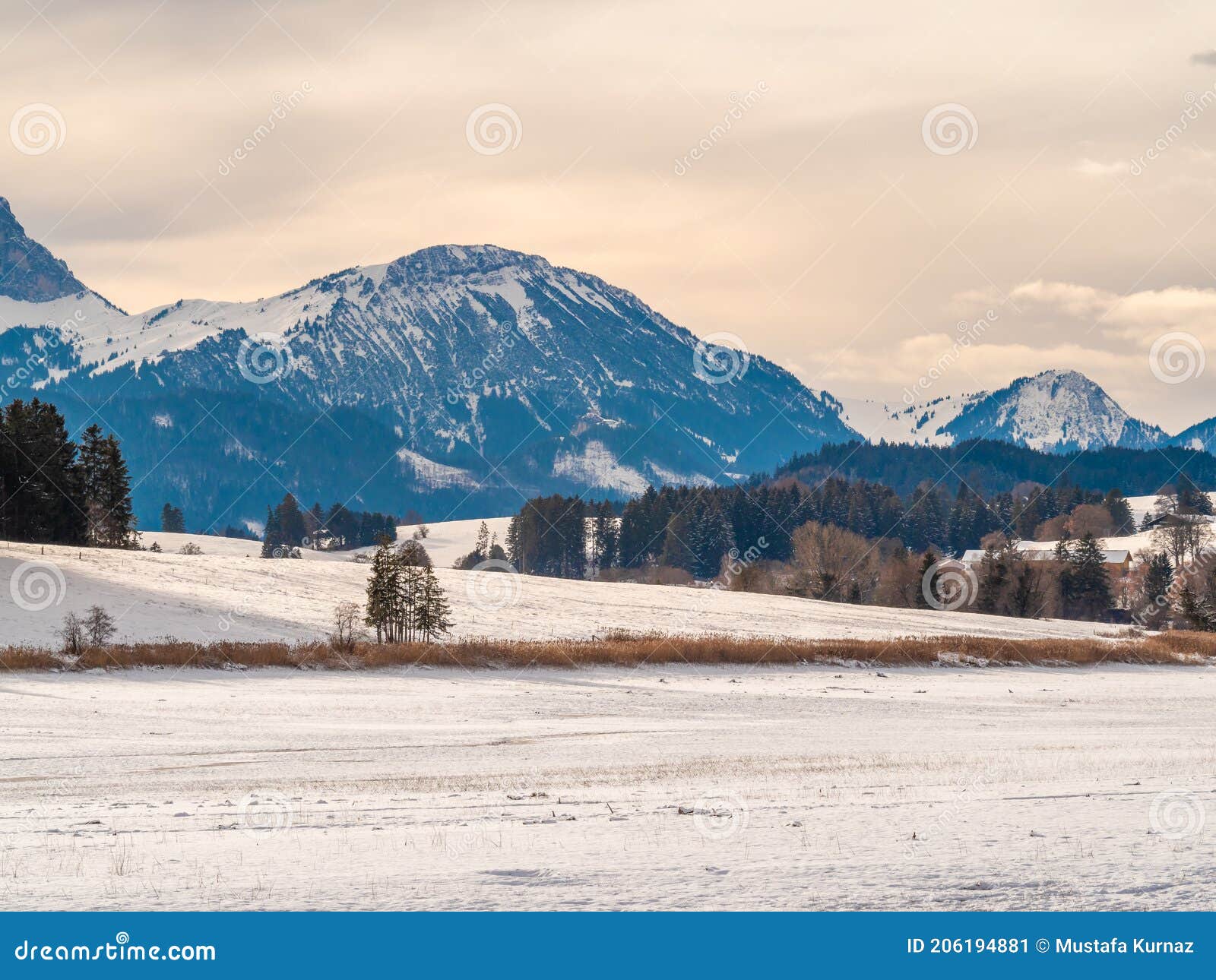 Forggensee in Winter with Mountains Stock Image - Image of scenery ...