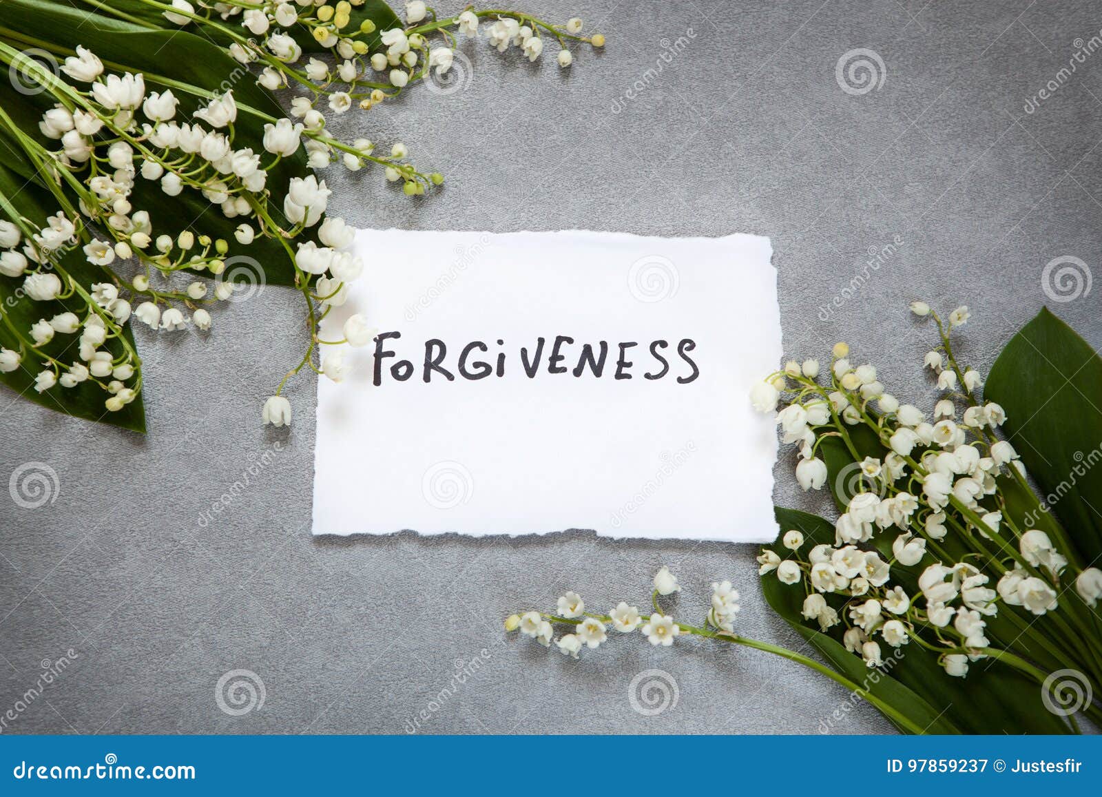 Forgiveness Word with White Flowers Stock Image - Image of text ...