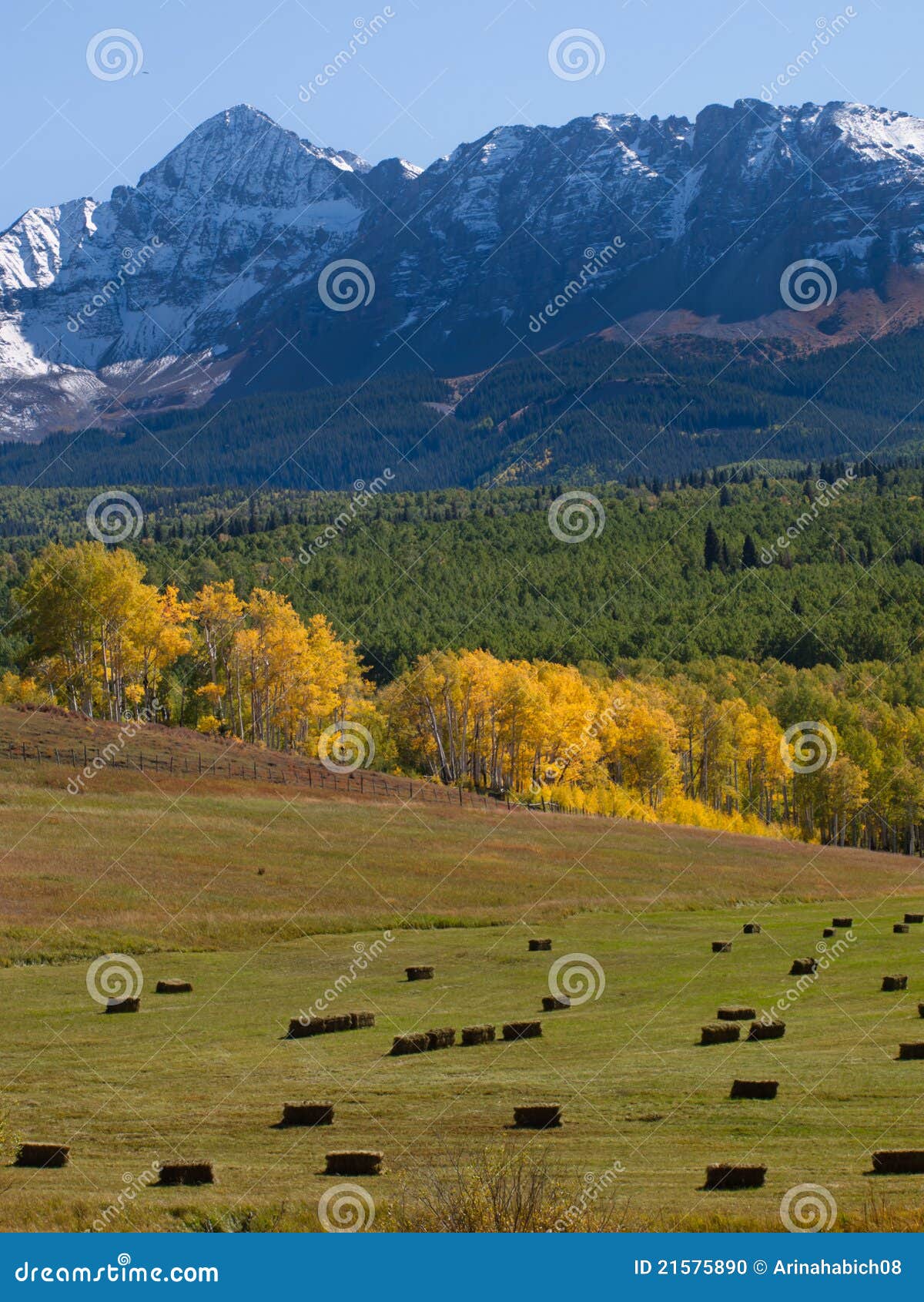 Forgotten Farm stock photo. Image of green, colorado - 21575890