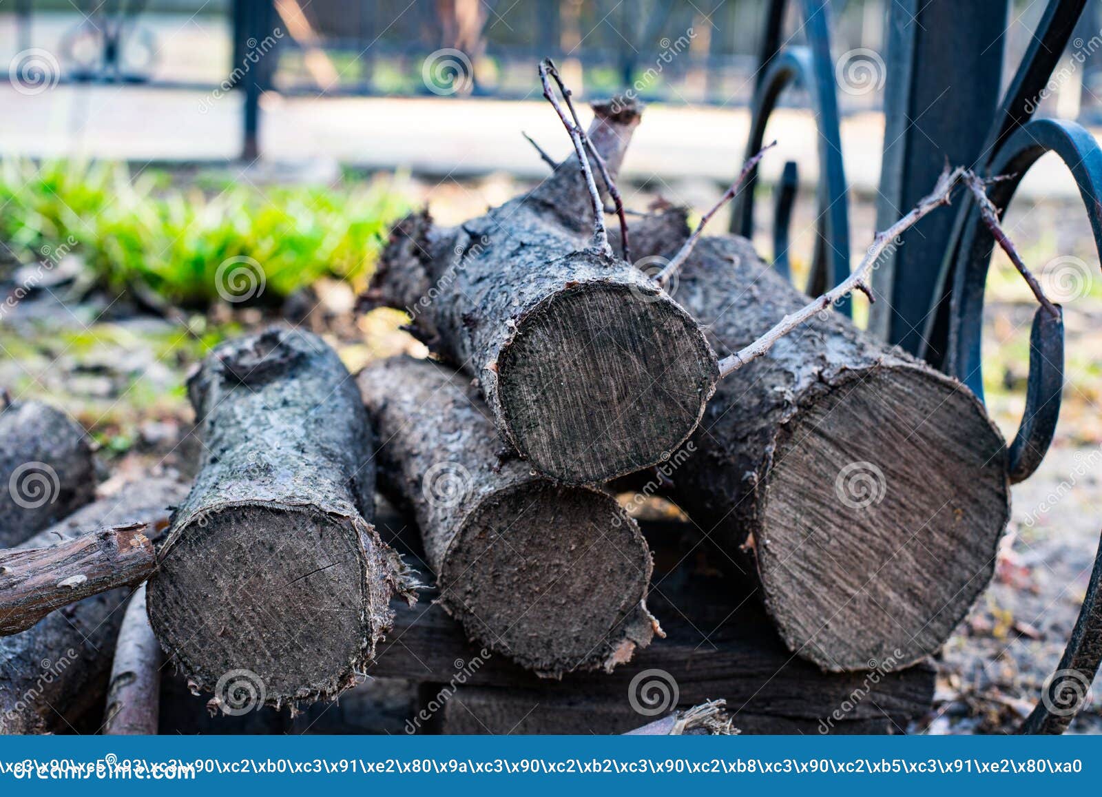 An Old Stack of Firewood in the Backyard. Front View. Stock Image ...