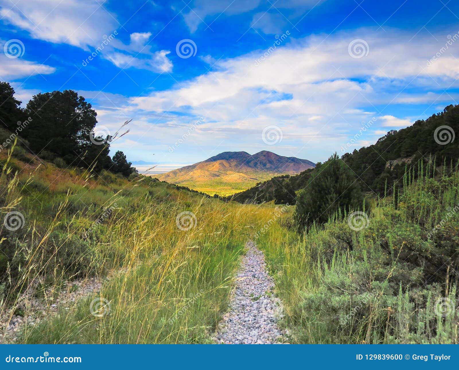 The Forgotten Path: a Timeless Scene Stock Photo - Image of forgotten ...
