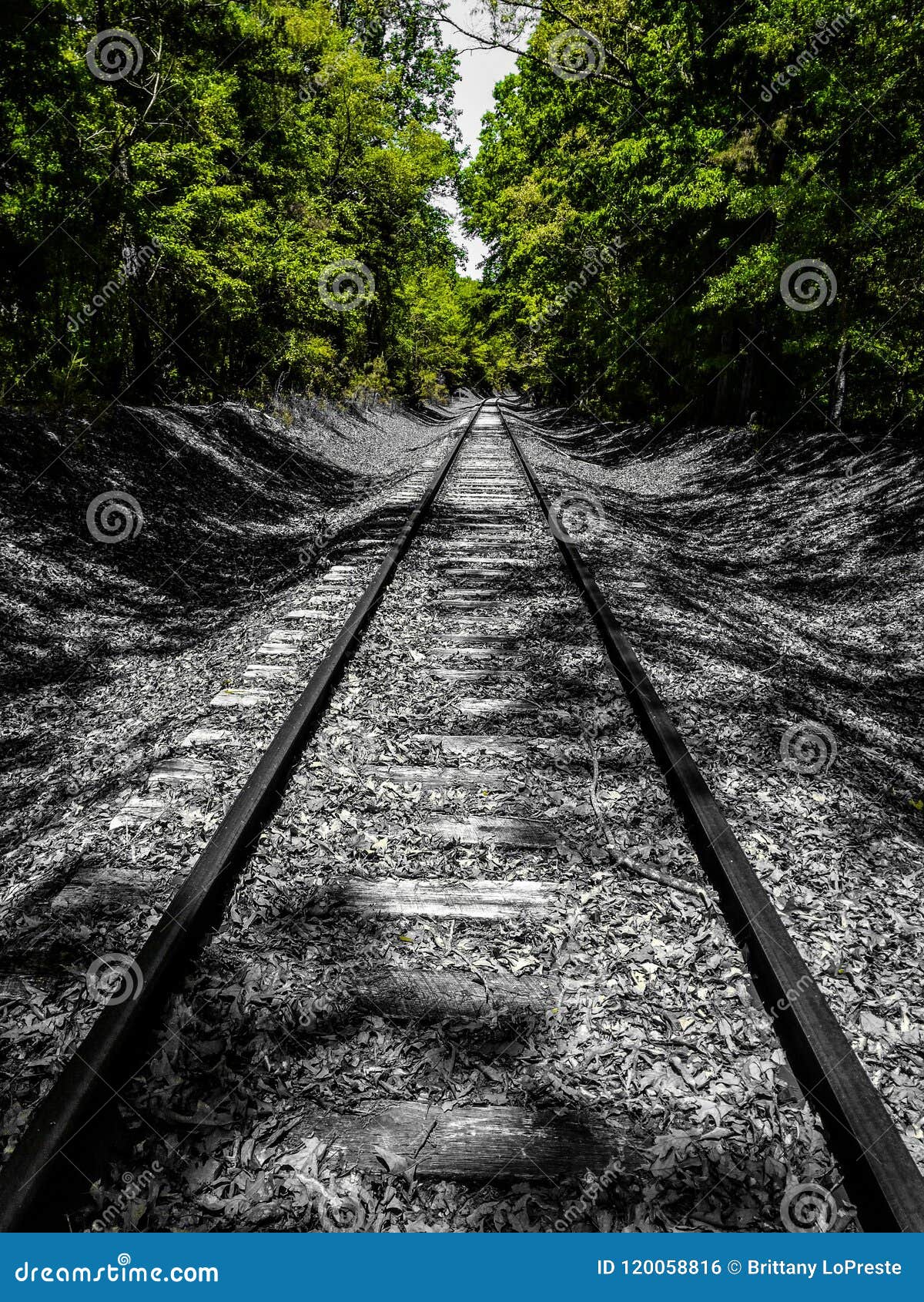 A stroll down the tracks stock photo. Image of paths - 120058816