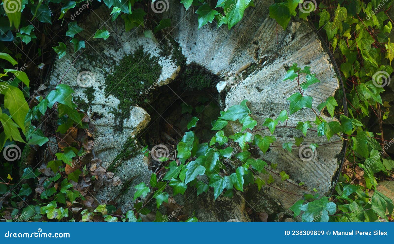 Forgotten stone stock image. Image of grinding, green - 238309899