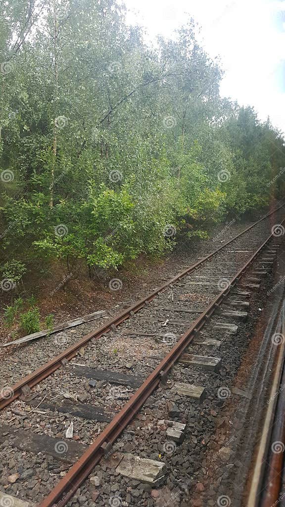 Forgotten tracks stock photo. Image of train, forgotten - 92364028