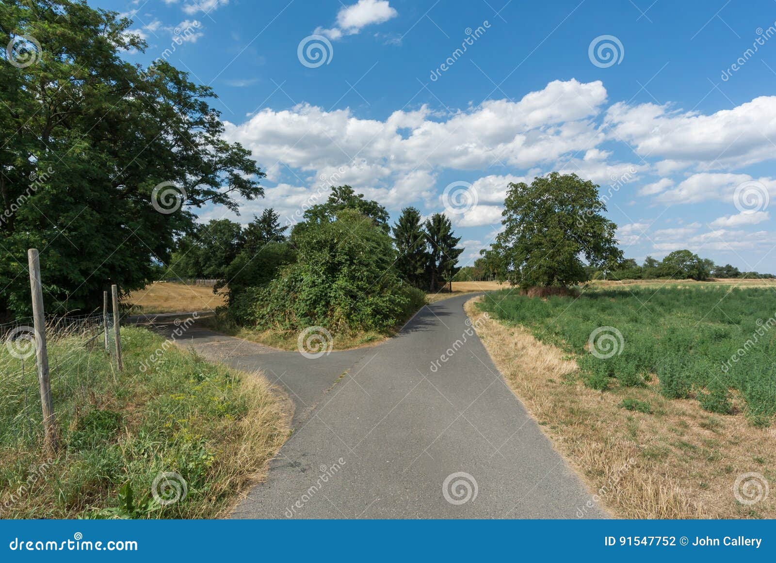 Fork in Bike Path stock photo. Image of farm, road, summer - 91547752