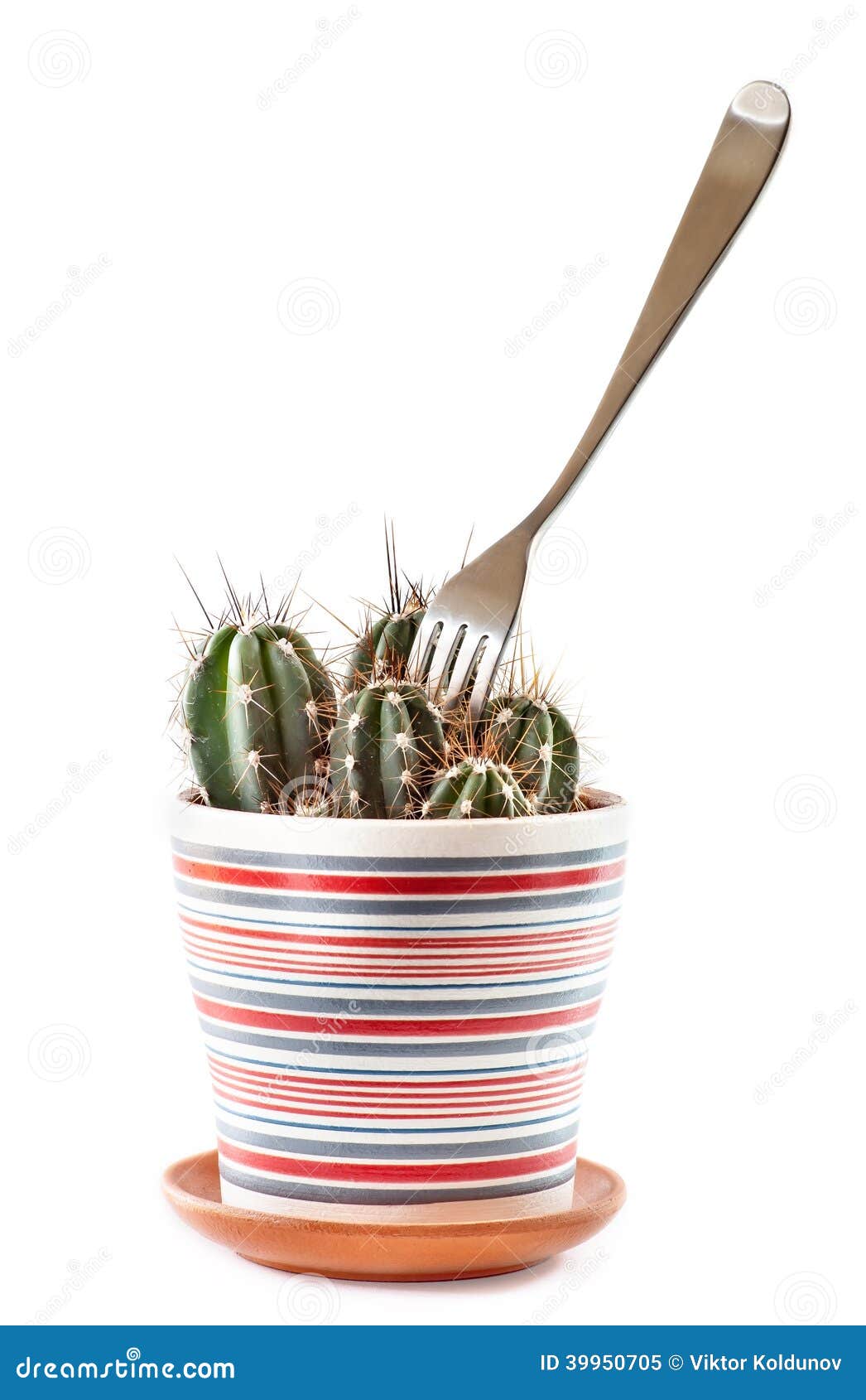 Fork in cactus stock image. Image of decorative, cutlery - 39950705