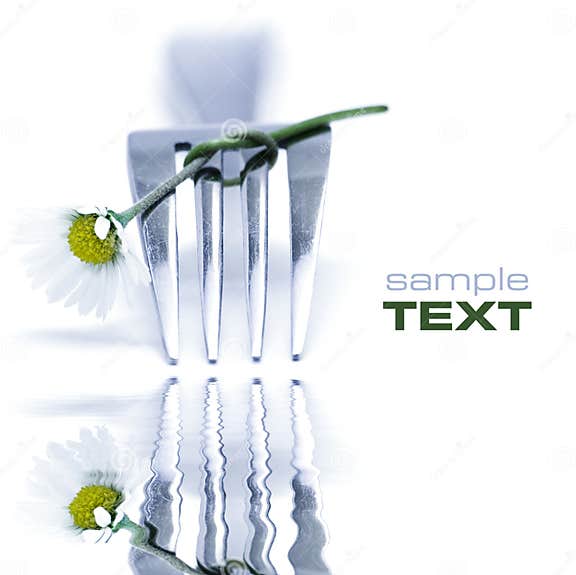 Fork and daisy stock image. Image of daisy, white, fork - 11318567