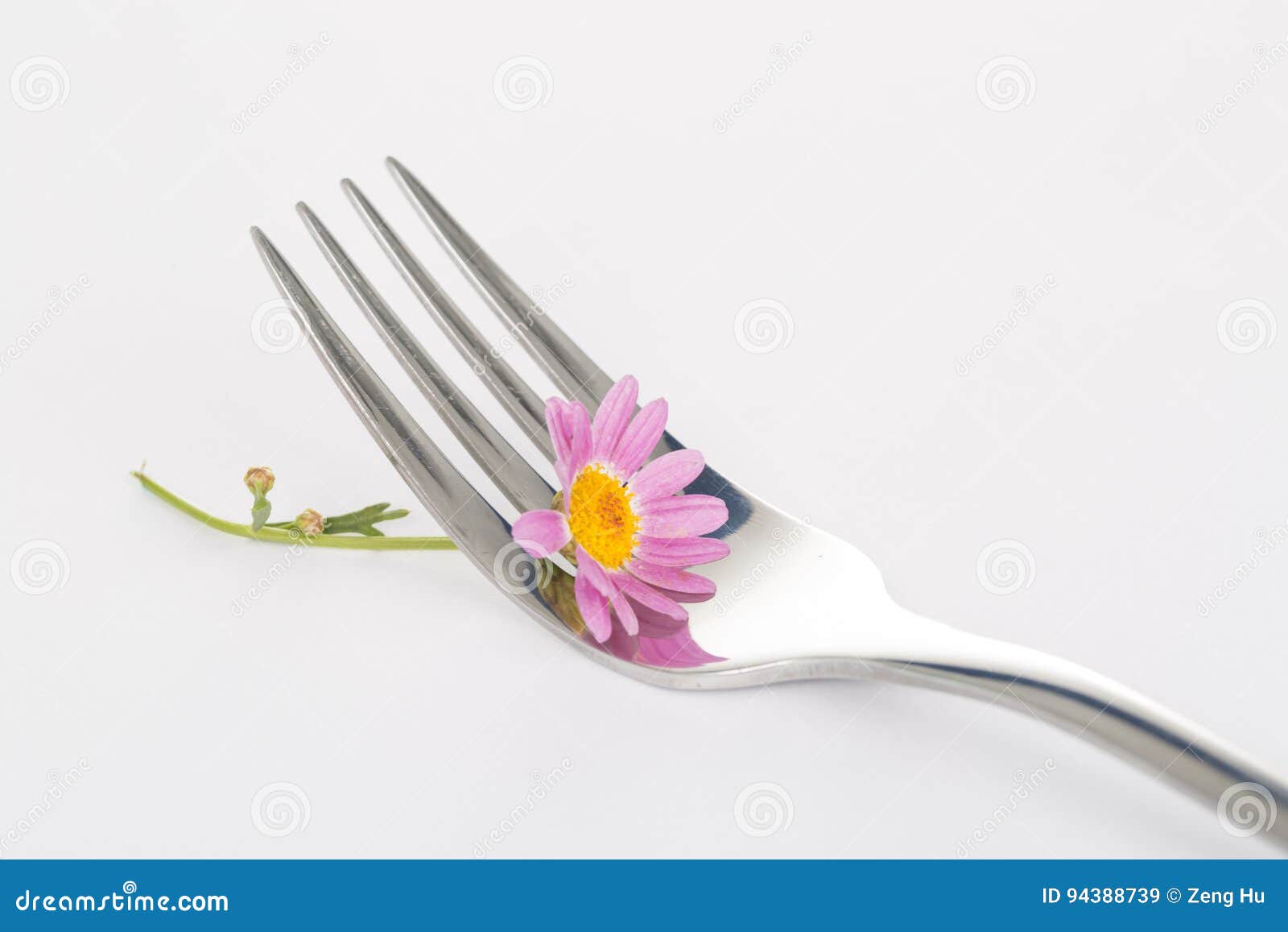 Fork and daisy flower stock image. Image of healthy, dish - 94388739